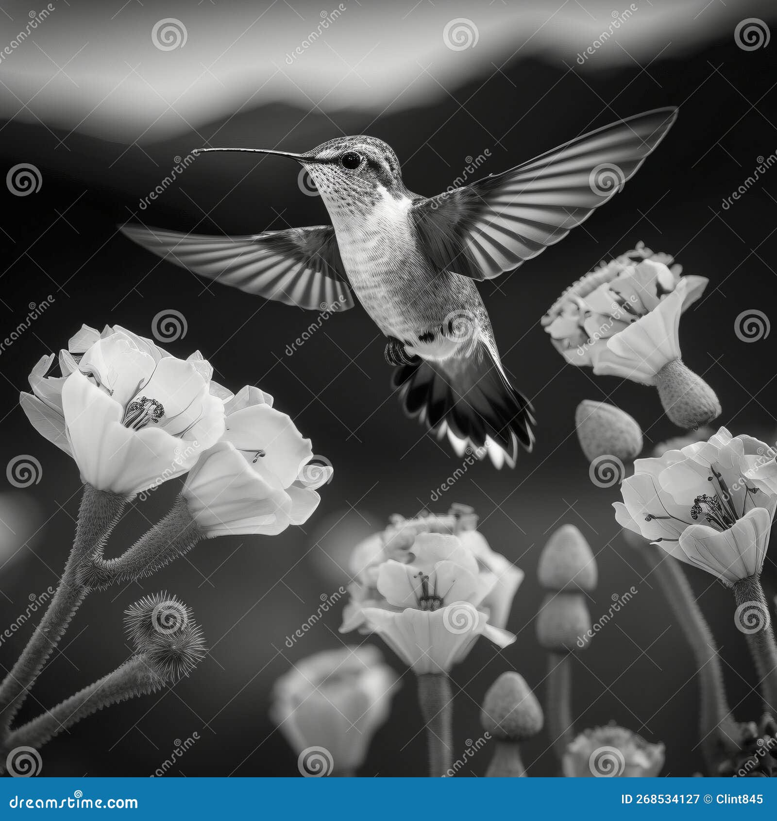 A Hummingbird Hovering Over a Flower Stock Illustration - Illustration ...