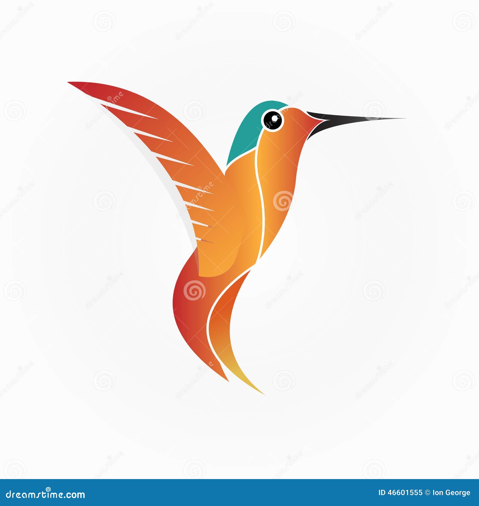 Hummingbird - illustration stock illustration. Illustration of magic ...
