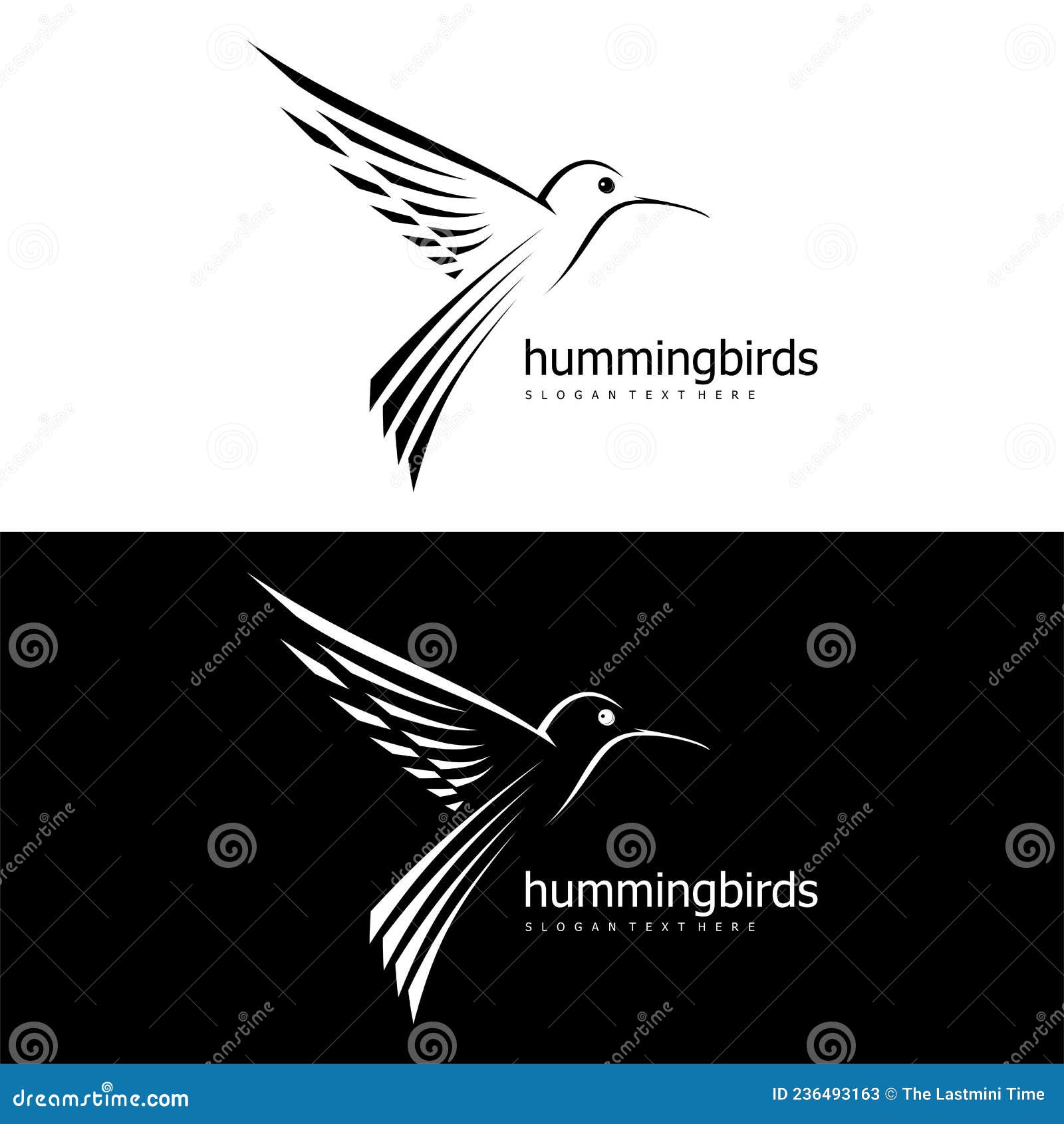 Hummingbird logo design stock vector. Illustration of freedom - 236493163