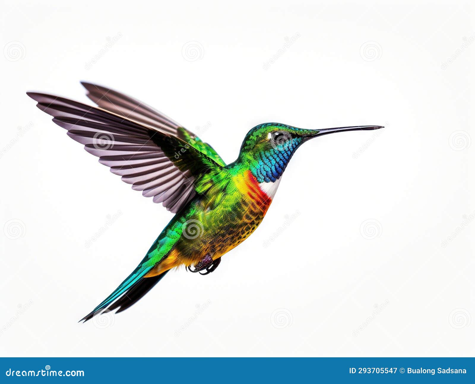 Ai Generated Illustration Wildlife Concept of Hummingbird Stock ...