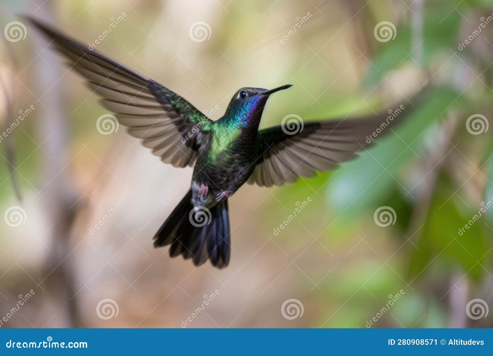 Hummingbird in Mid-flight, Its Wings Beating Furiously Stock Image ...