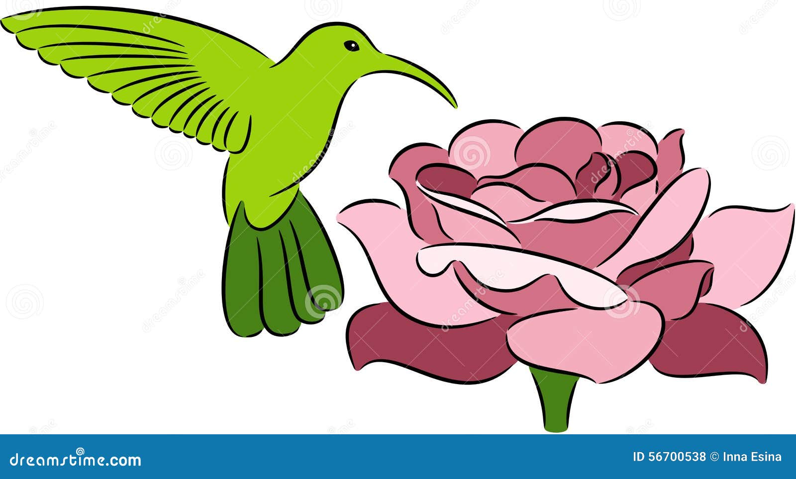 Hummingbird and rose stock vector. Illustration of spring - 56700538
