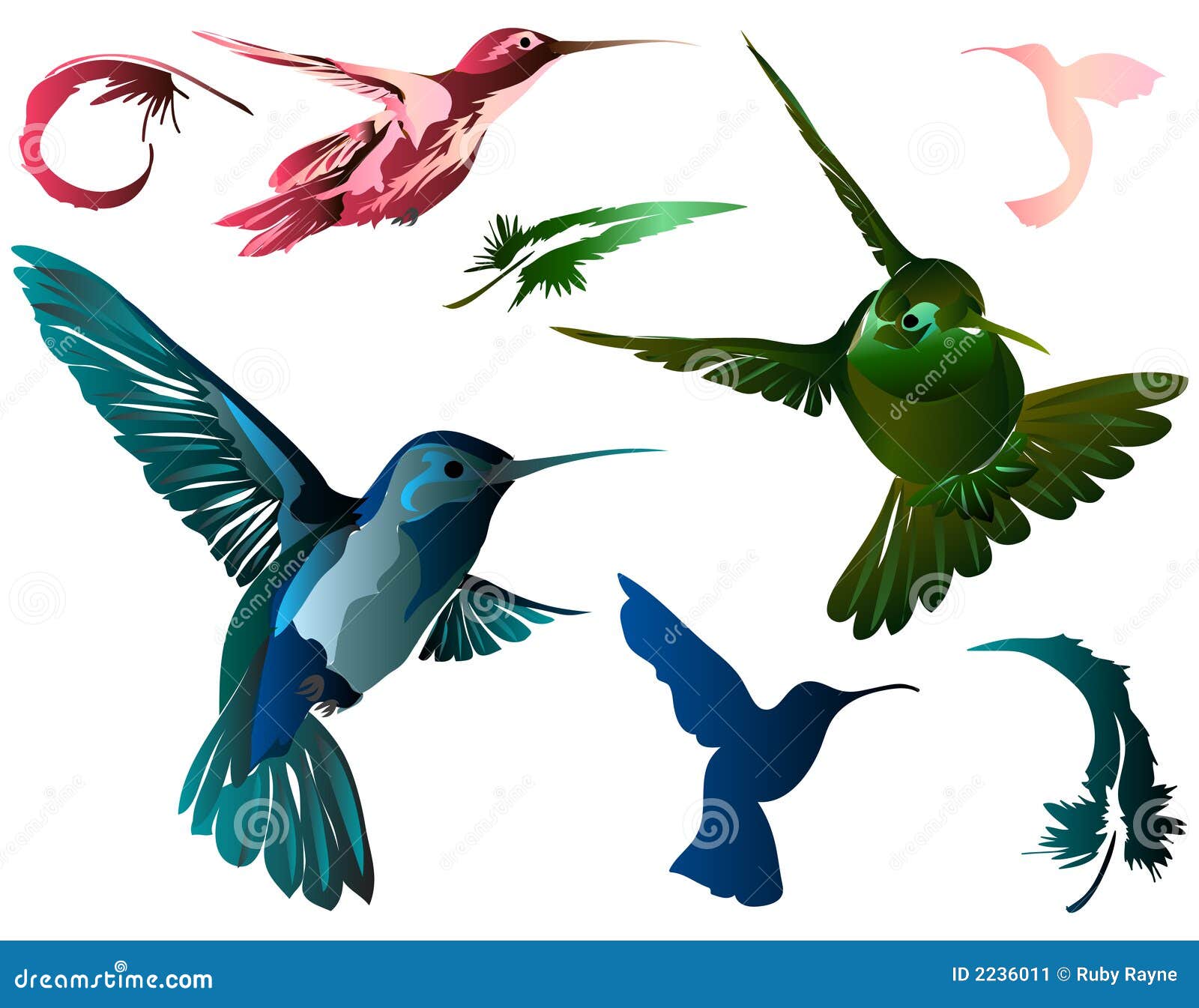 Hummingbirds & Feathers Stock Vector - Illustration of green, wings ...