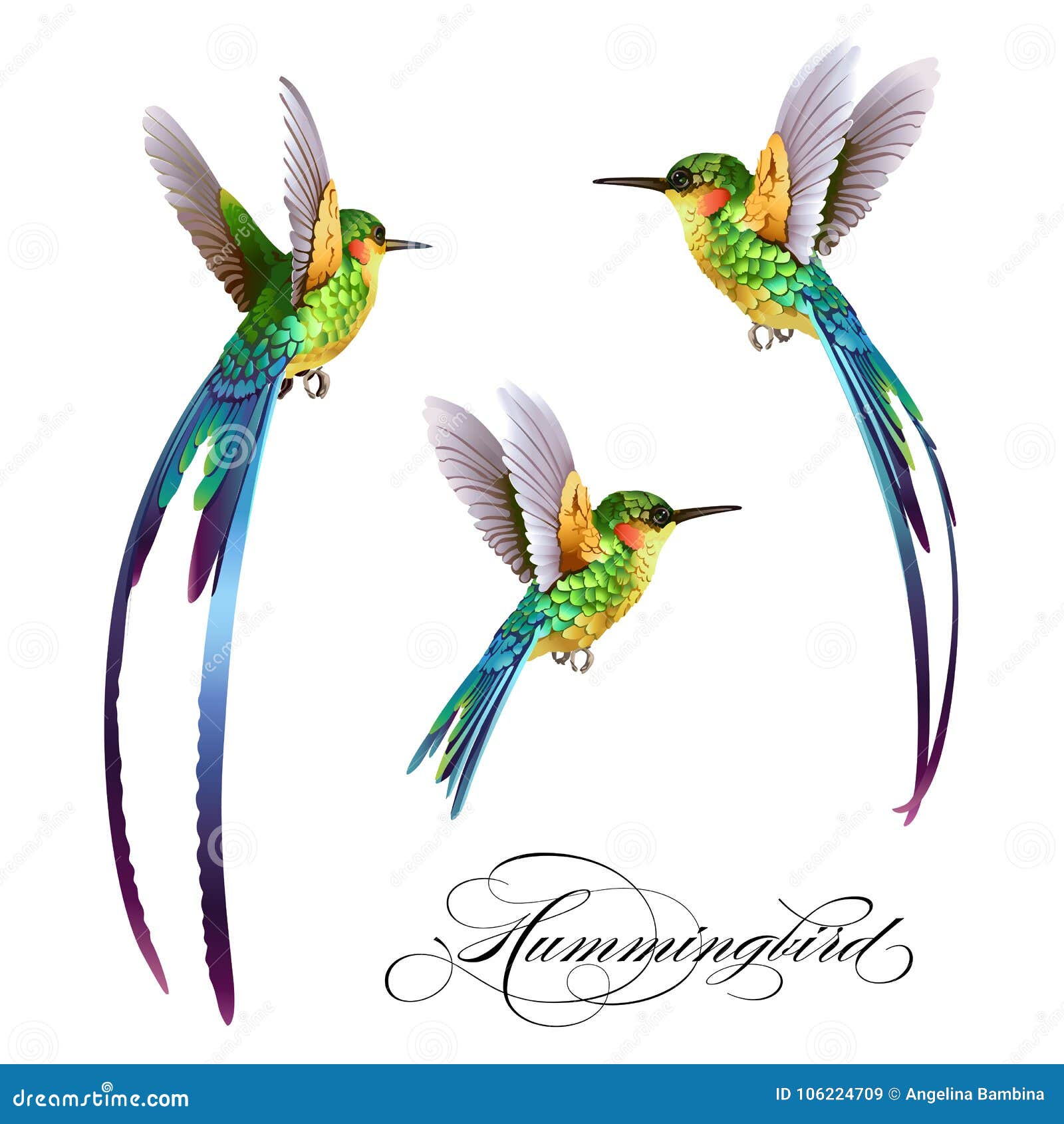 Hummingbirds Set. Tropical Seamless Pattern with Bird. Vector ...