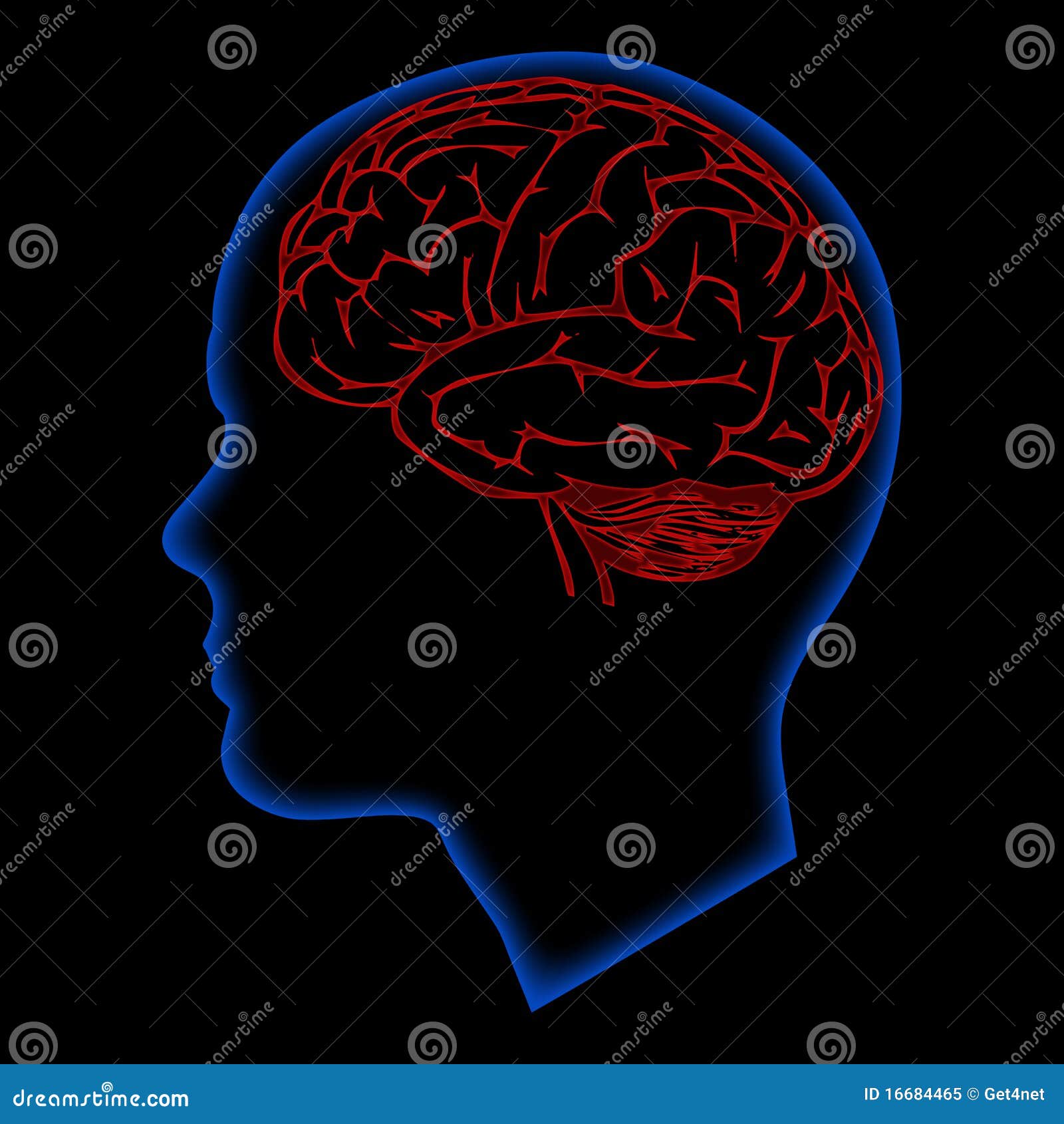 Brainpower Inside Human Mind - Pictured As Word Brainpower Inside A ...