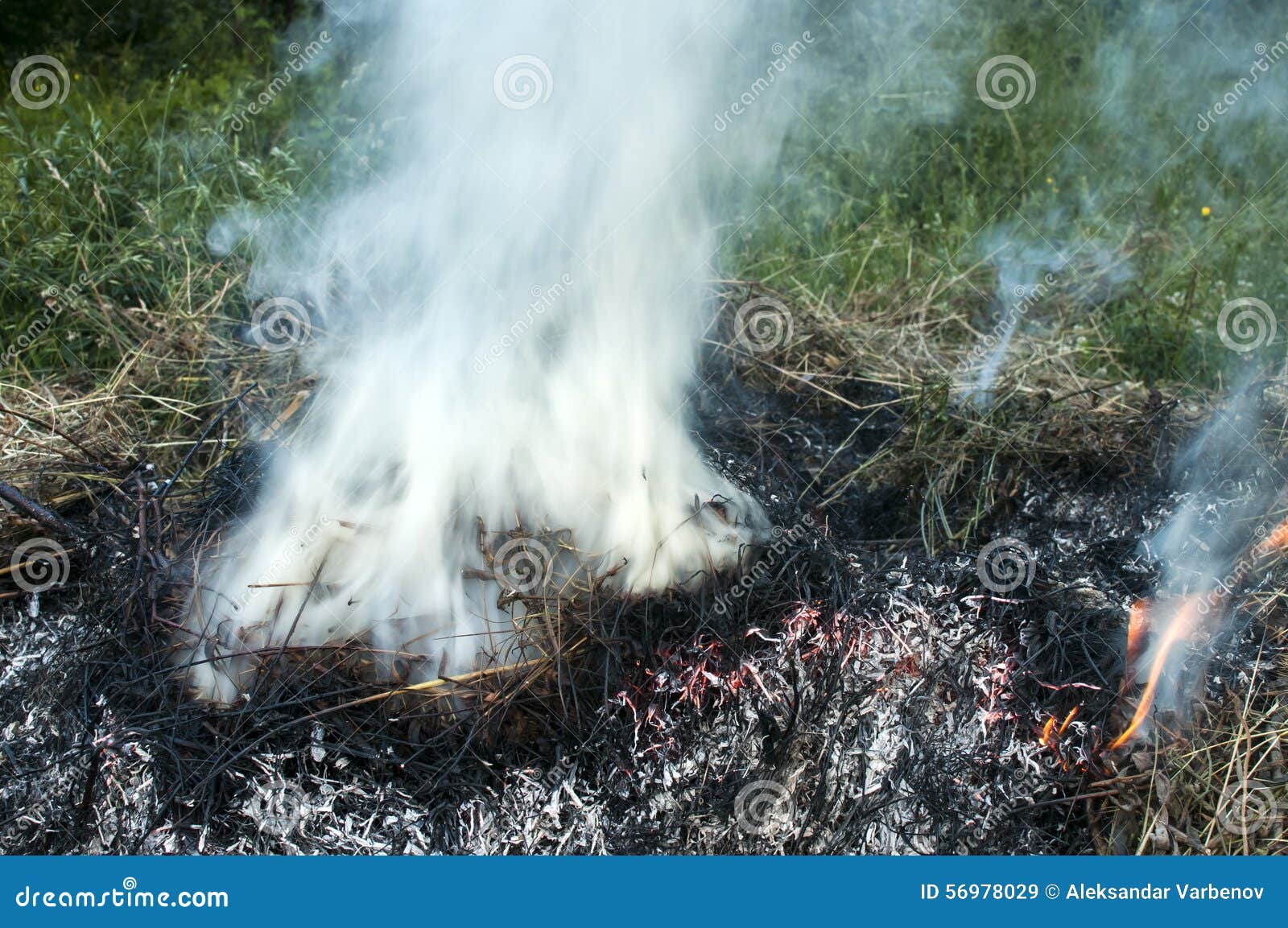 Humo De Quemar La Hierba Seca Imagen de archivo - Imagen de rural ...