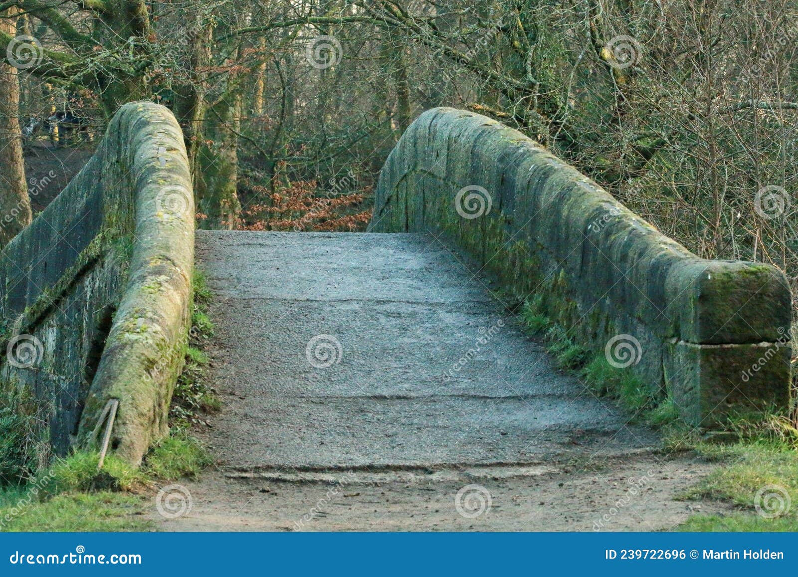 Hump back stone bridge stock photo. Image of architecture - 239722696