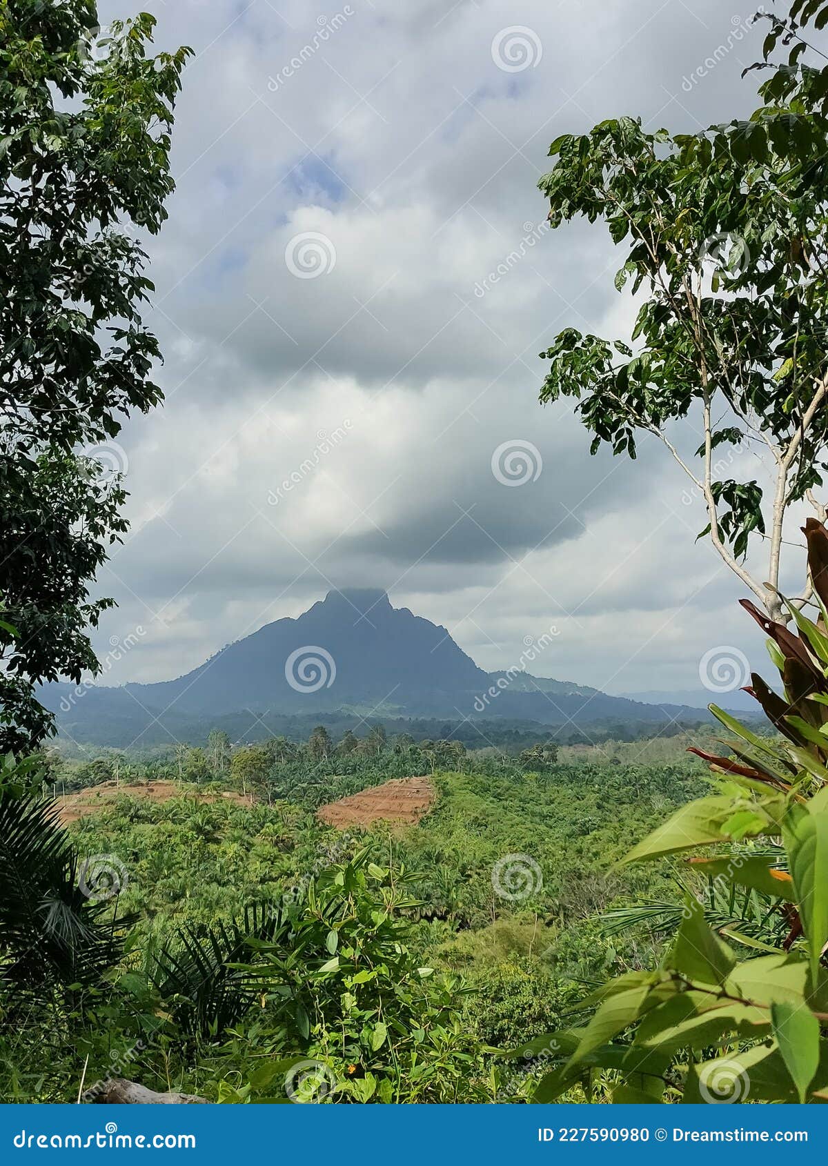 Humpback Mountain is so Beautiful Stock Photo - Image of nature, tree ...
