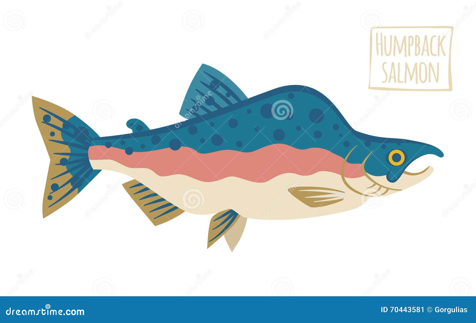Salmon Vector Illustration Isolated On White, Healthy Food Illustration ...