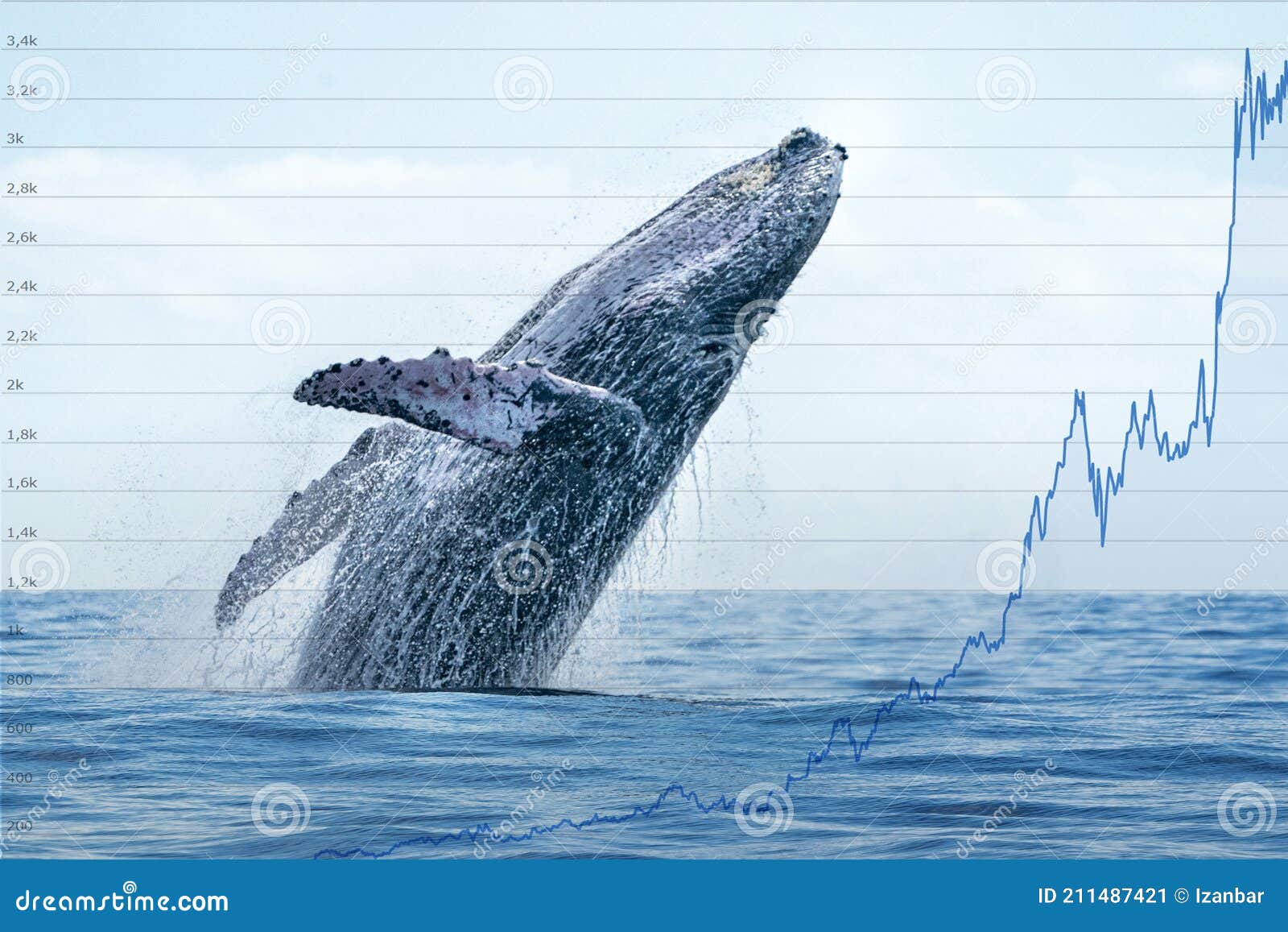 Whale with Stock Market Money Cripto Value Bitcoin Diagram Flow Chart ...