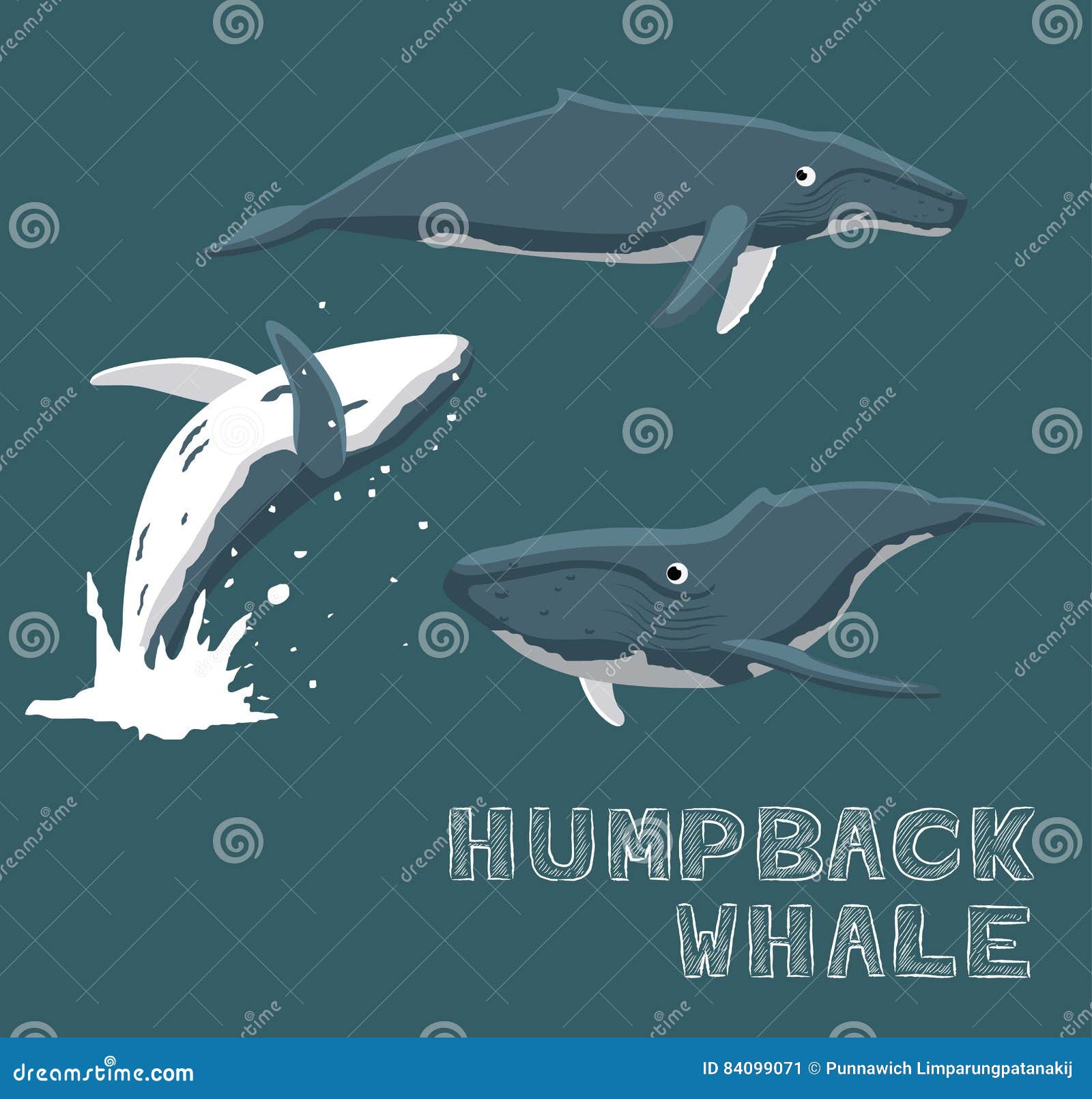 Humpback Whale Cartoon Vector Illustration Stock Vector - Illustration ...