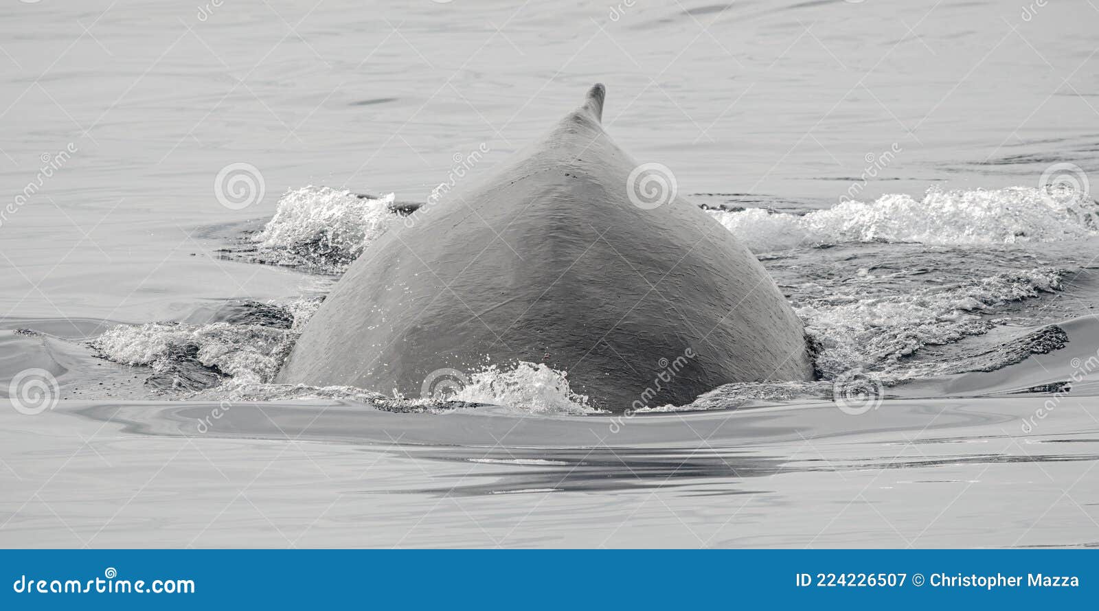 Jeffreys Ledge Stock Photos - Free & Royalty-Free Stock Photos from ...