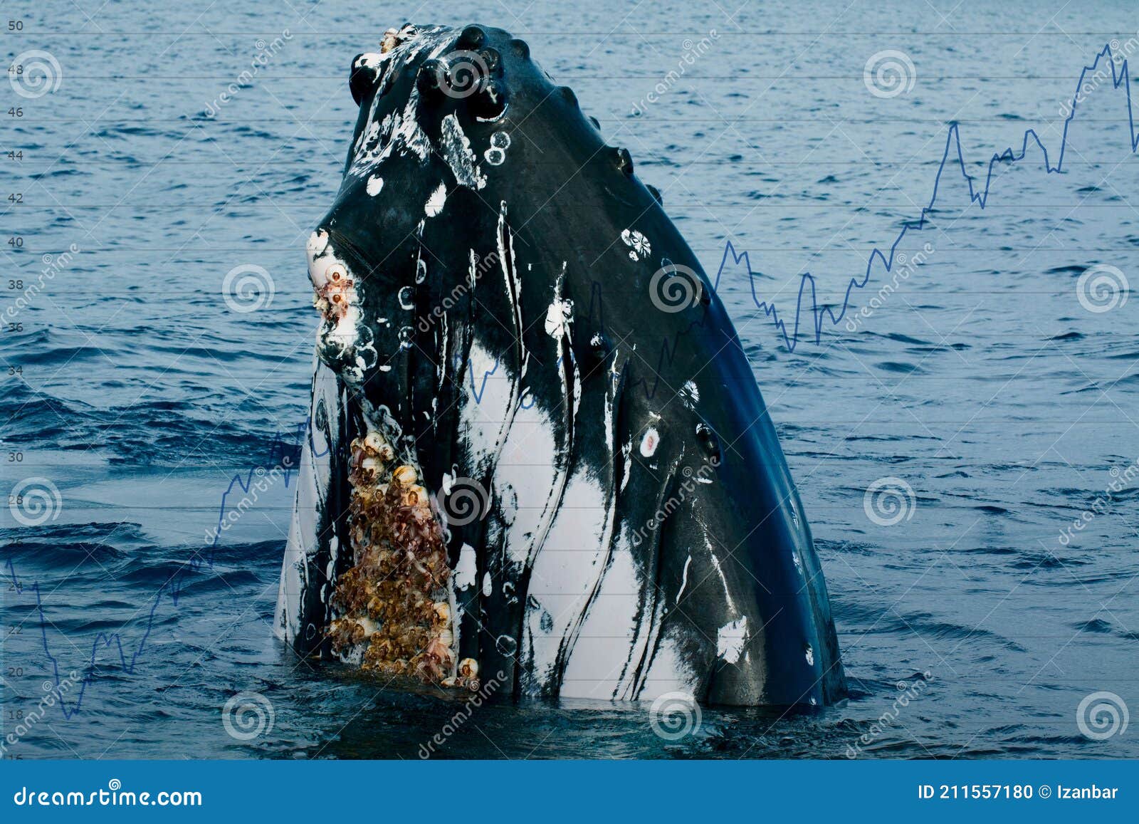 Whale Money Box With Plastic Waste Symbolizing Pollution Of Environment ...