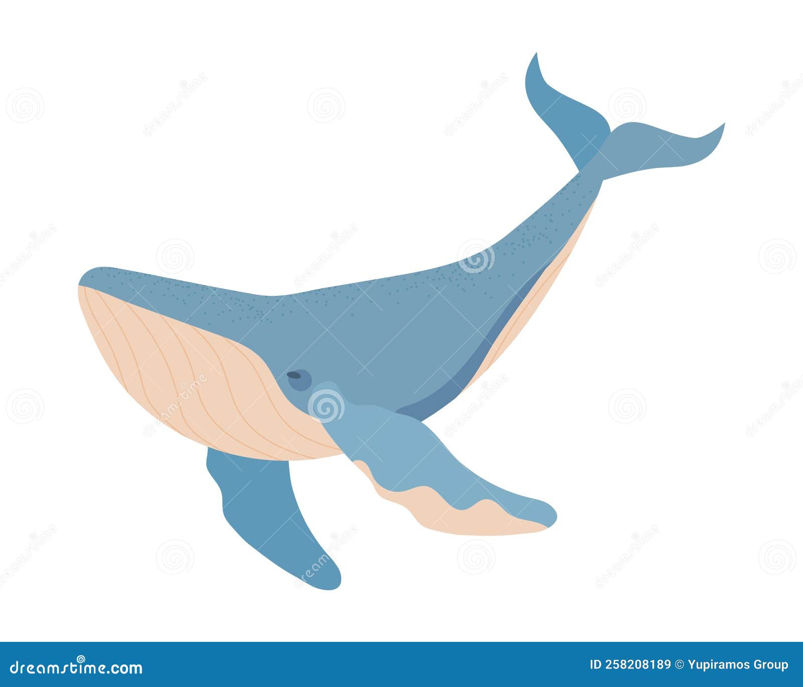 Humpback whale icon stock vector. Illustration of isolation - 258208189