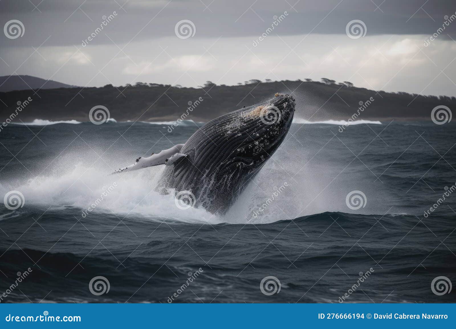 A Humpback Whale Jumping Over the Sea. Ai Generative Stock Illustration ...