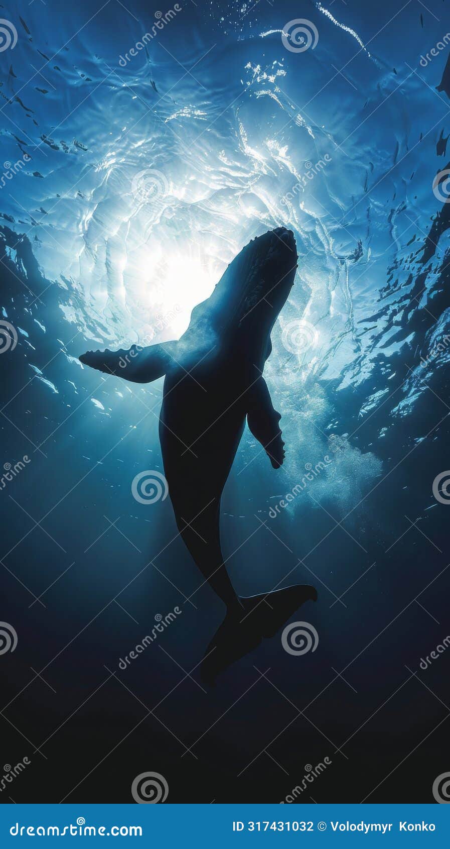 Whale Silhouette With Coral Reef, Double Exposure Art. Nature Conservation And Ocean Life ...