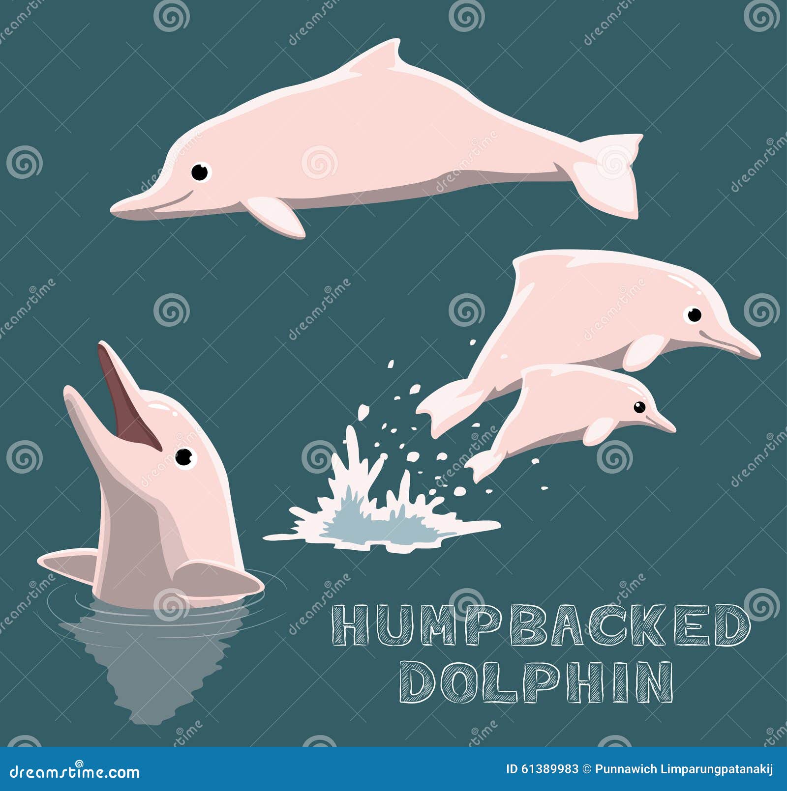 Humpbacked Dolphin Cartoon Vector Illustration Stock Vector ...