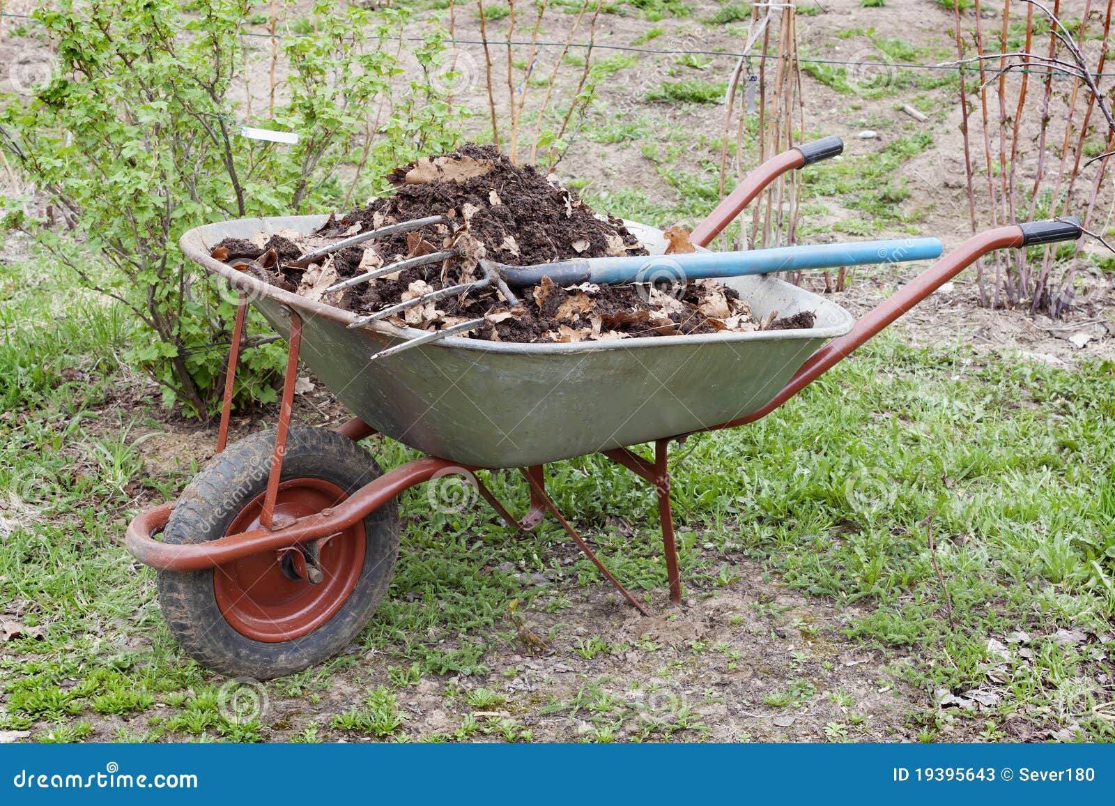 Humus is Mixed with Oak Leaf Stock Image - Image of compost, industry ...