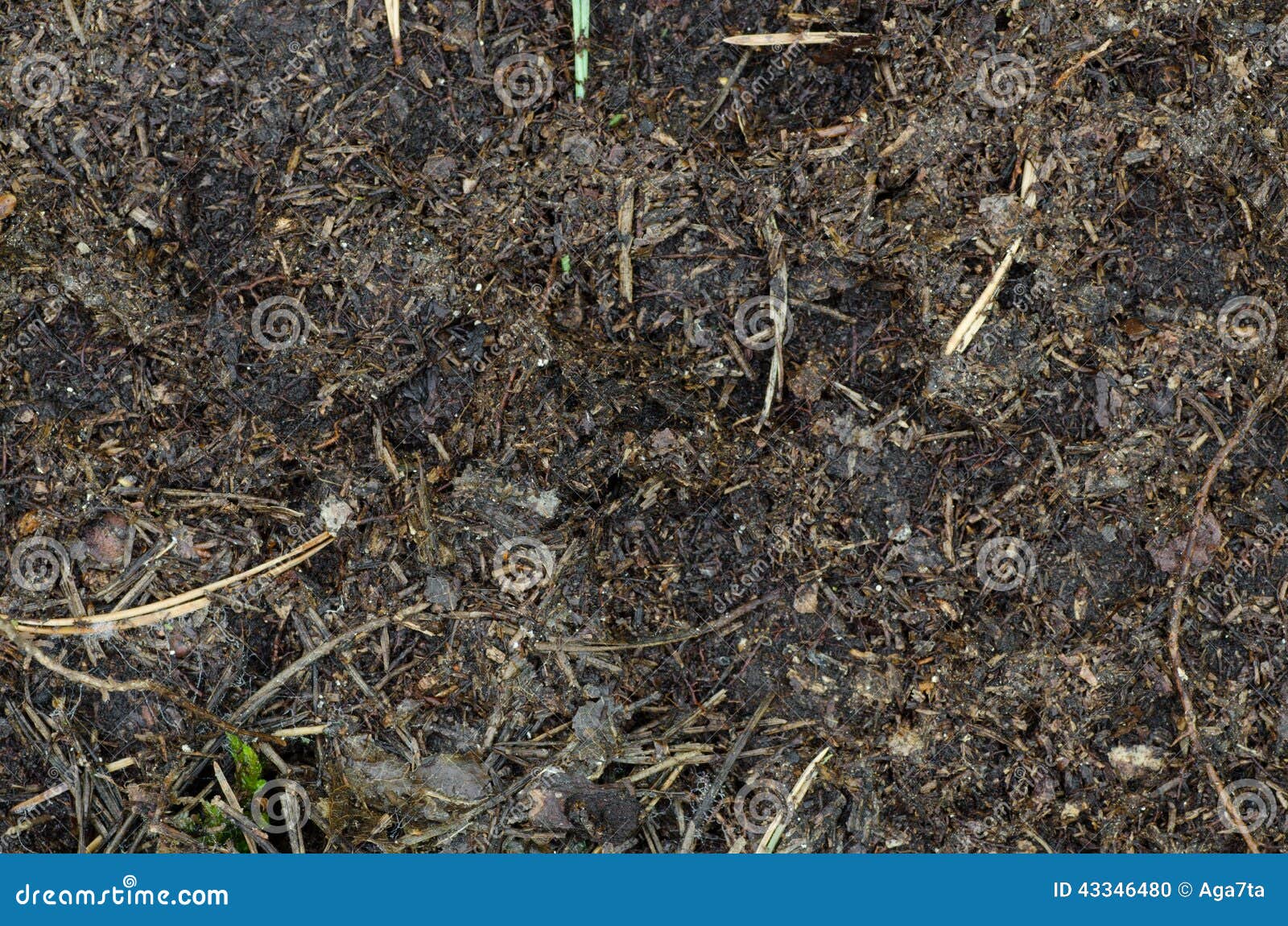 Humus soil stock photo. Image of texture, backdrop, straw - 43346480