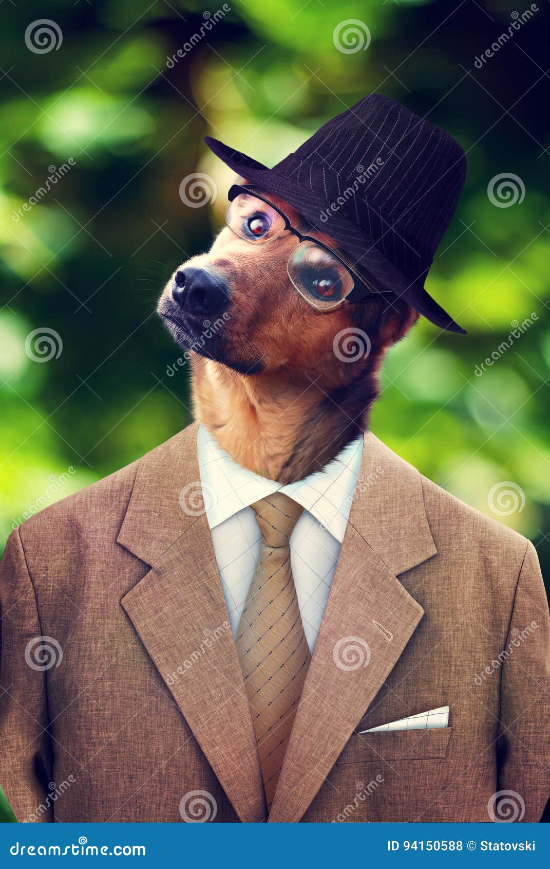 Hund in Einem Hut Und in Einem Anzug Stock Abbildung - Illustration von ...