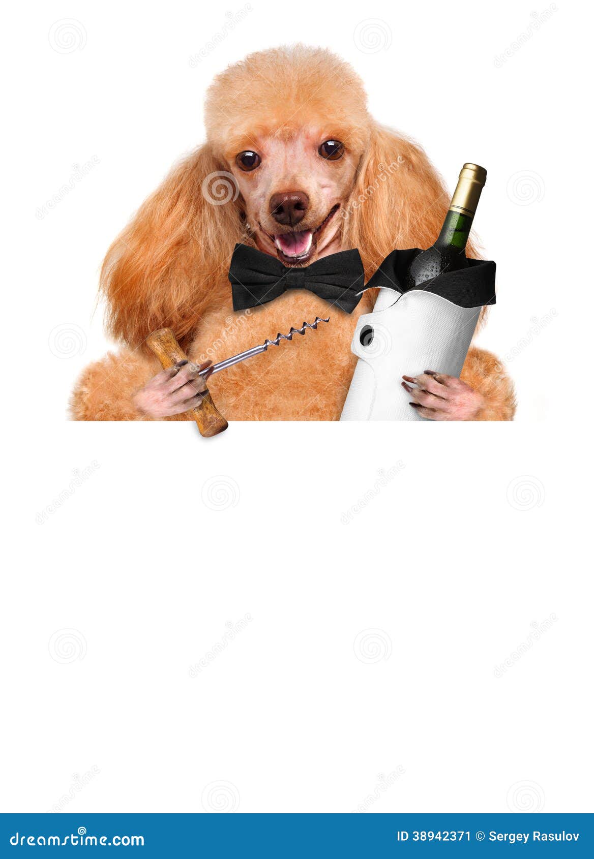 Hund Mit Einer Flasche Wein Stockbild - Bild von witz, französisch ...