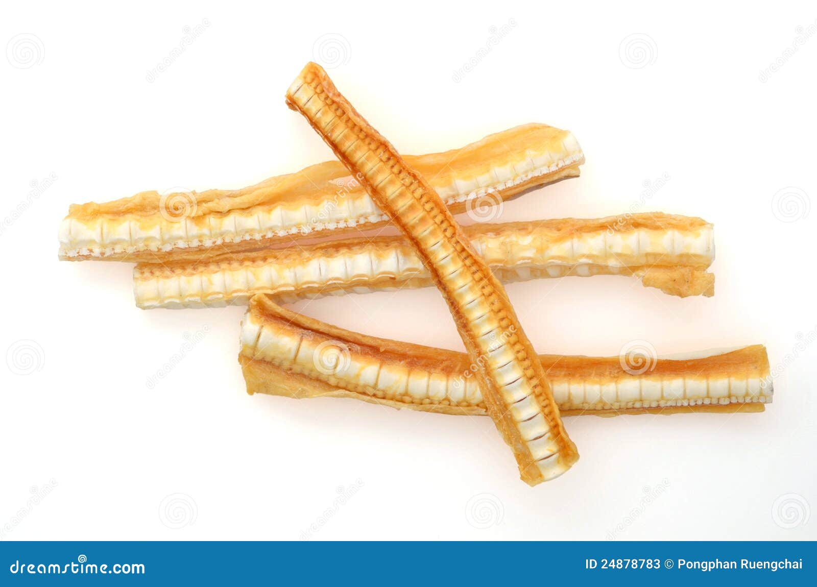 Hundeknochen stockbild. Bild von knochen, tier, fische - 24878783