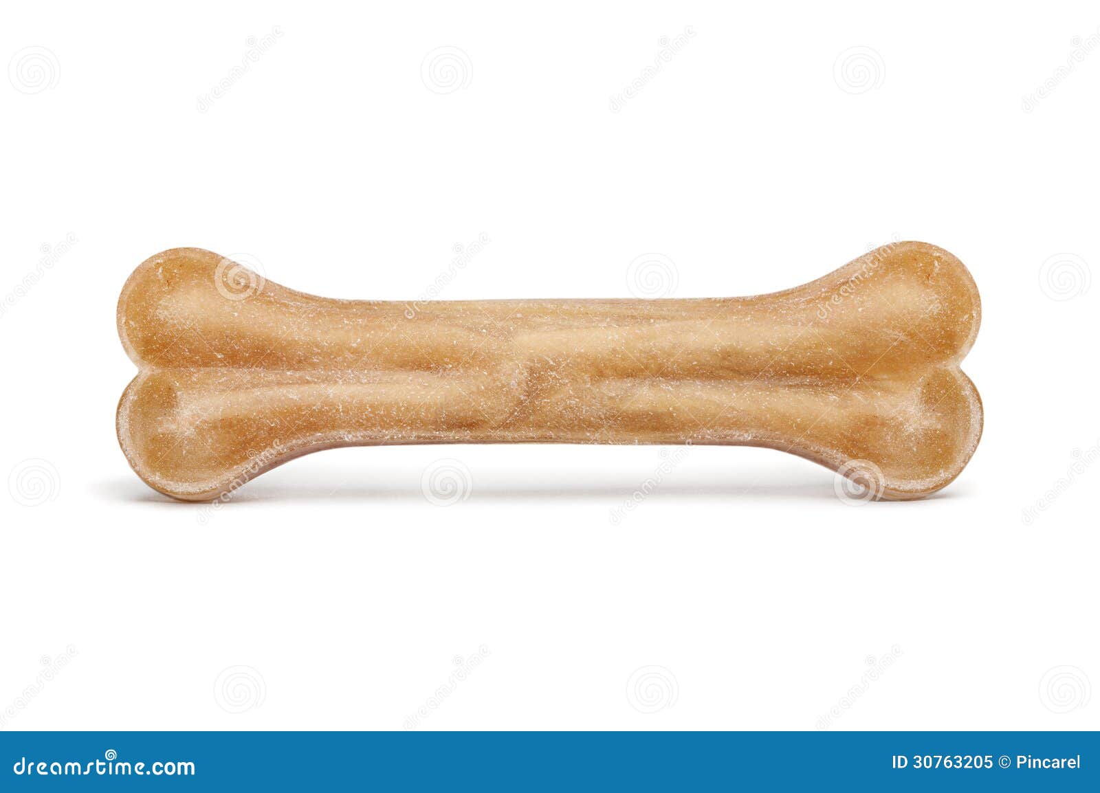 Hundeknochen stockbild. Bild von zäh, haustier, anreiz - 30763205