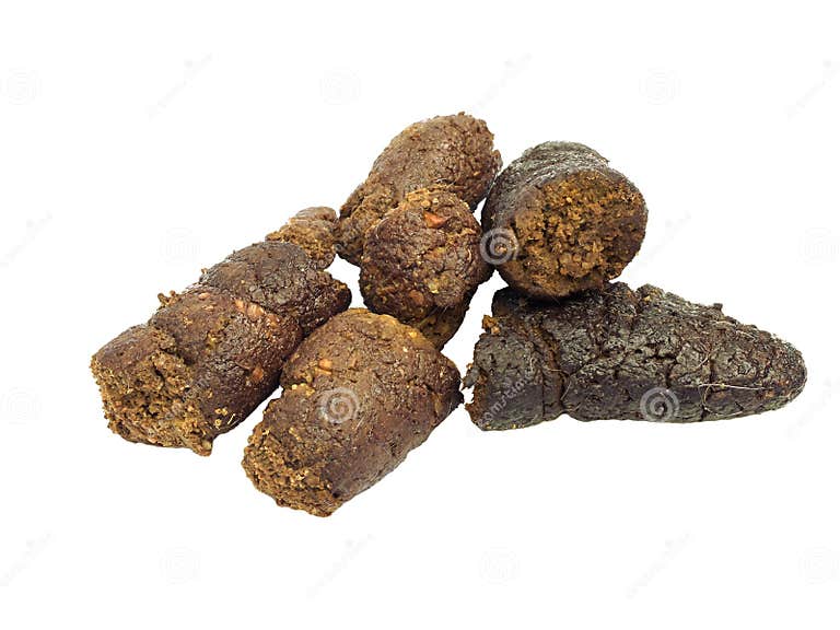 Hundescheiße stockfoto. Bild von poop, getrennt, mist - 72949498