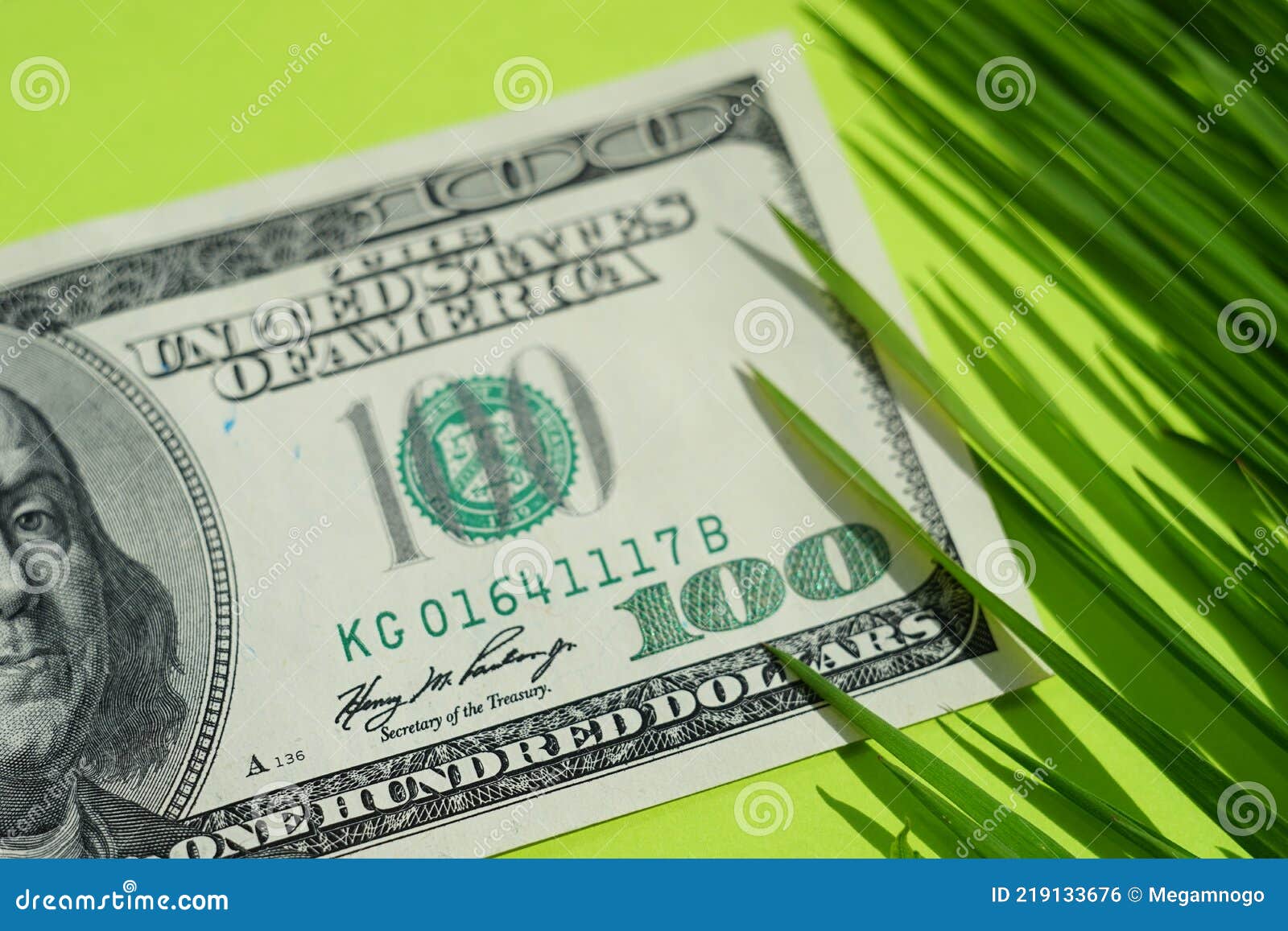 Hundred Dollar Bill and Green Grass on a Vivid Green Table Stock Photo ...