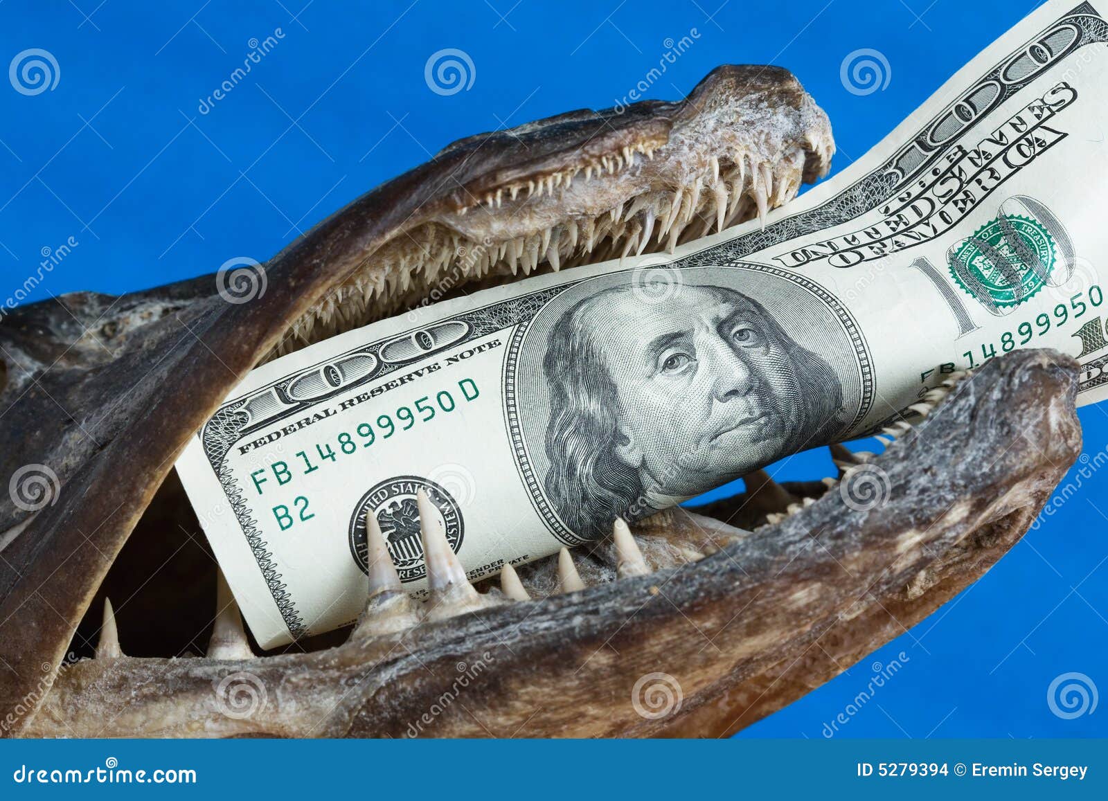 Hundred Dollars Banknote in Fish Mouth Stock Photo - Image of dollar ...