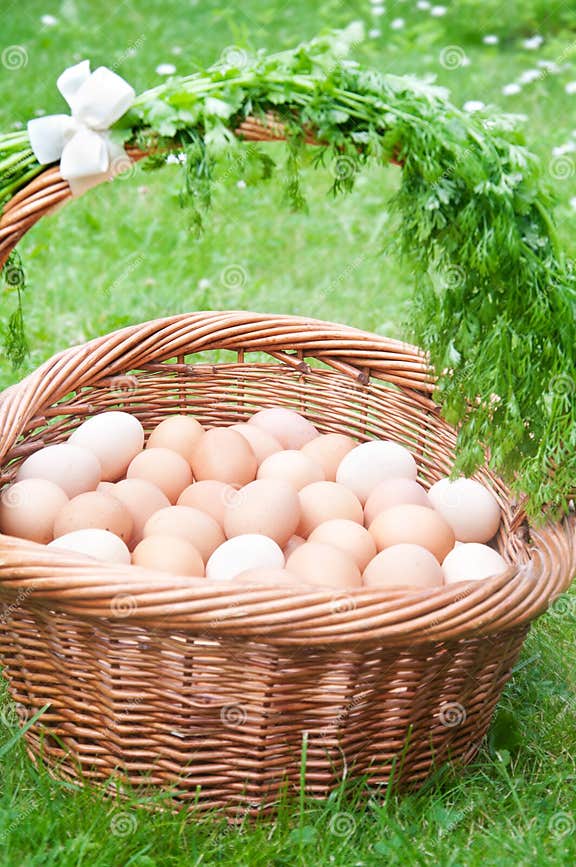 Hundred eggs stock image. Image of grass, eggshell, kinza - 26425095