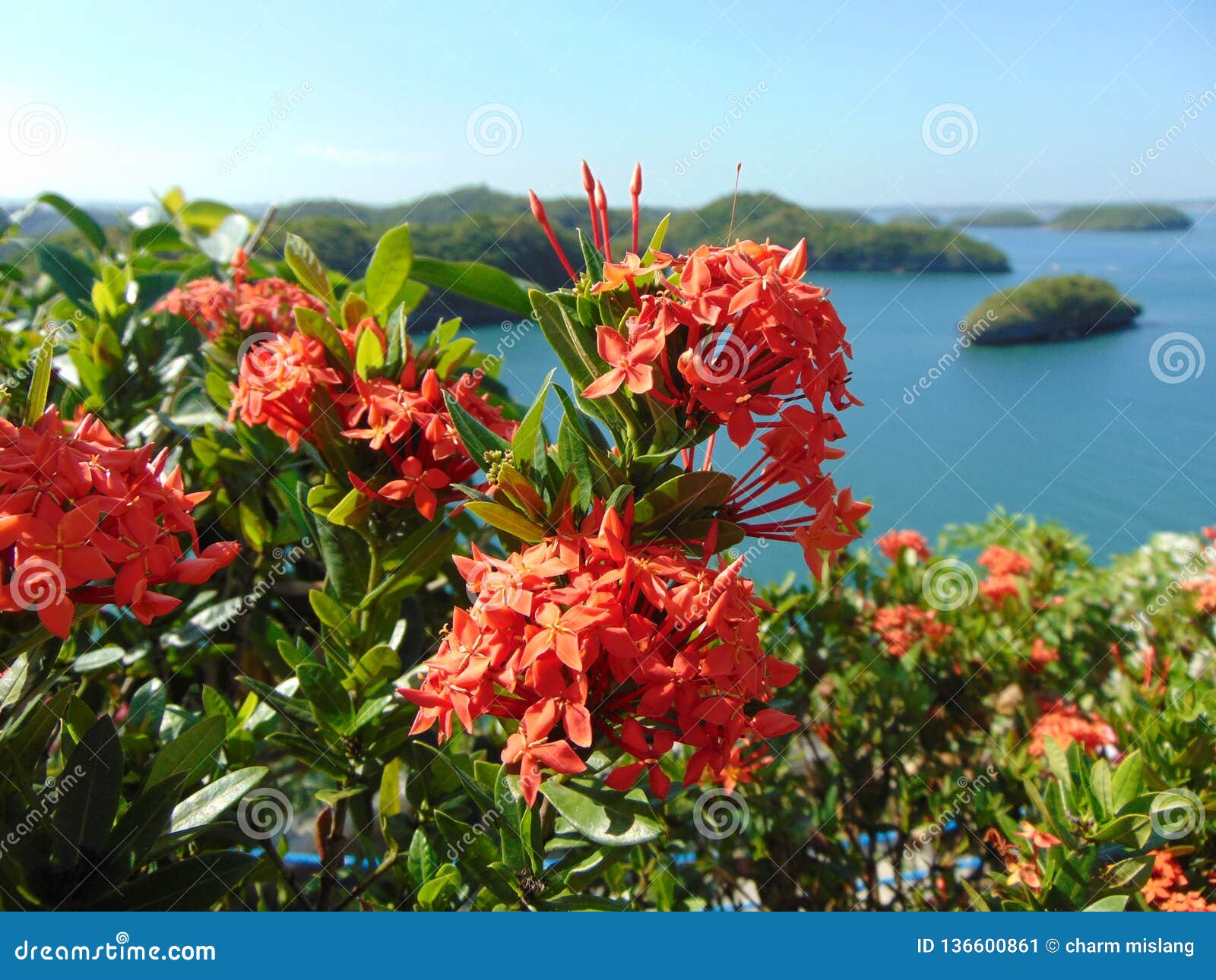 Hundred Islands Philippines Stock Image - Image of islands, santan ...