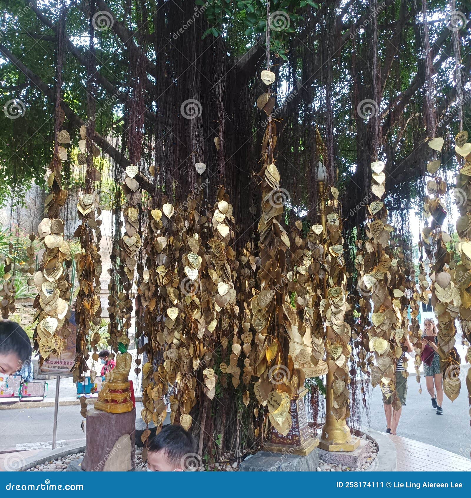 Wishing Tree Is Ngong Ping Village, Lantau Island, Hong Kong, China ...