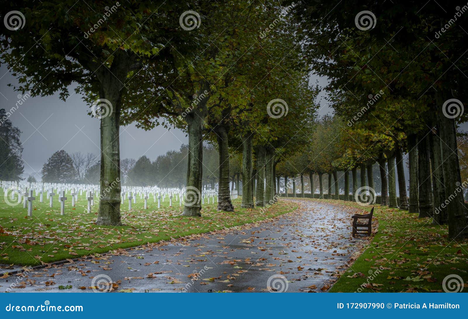Hundreds of Grave Markers in the Rain Editorial Image - Image of bench ...