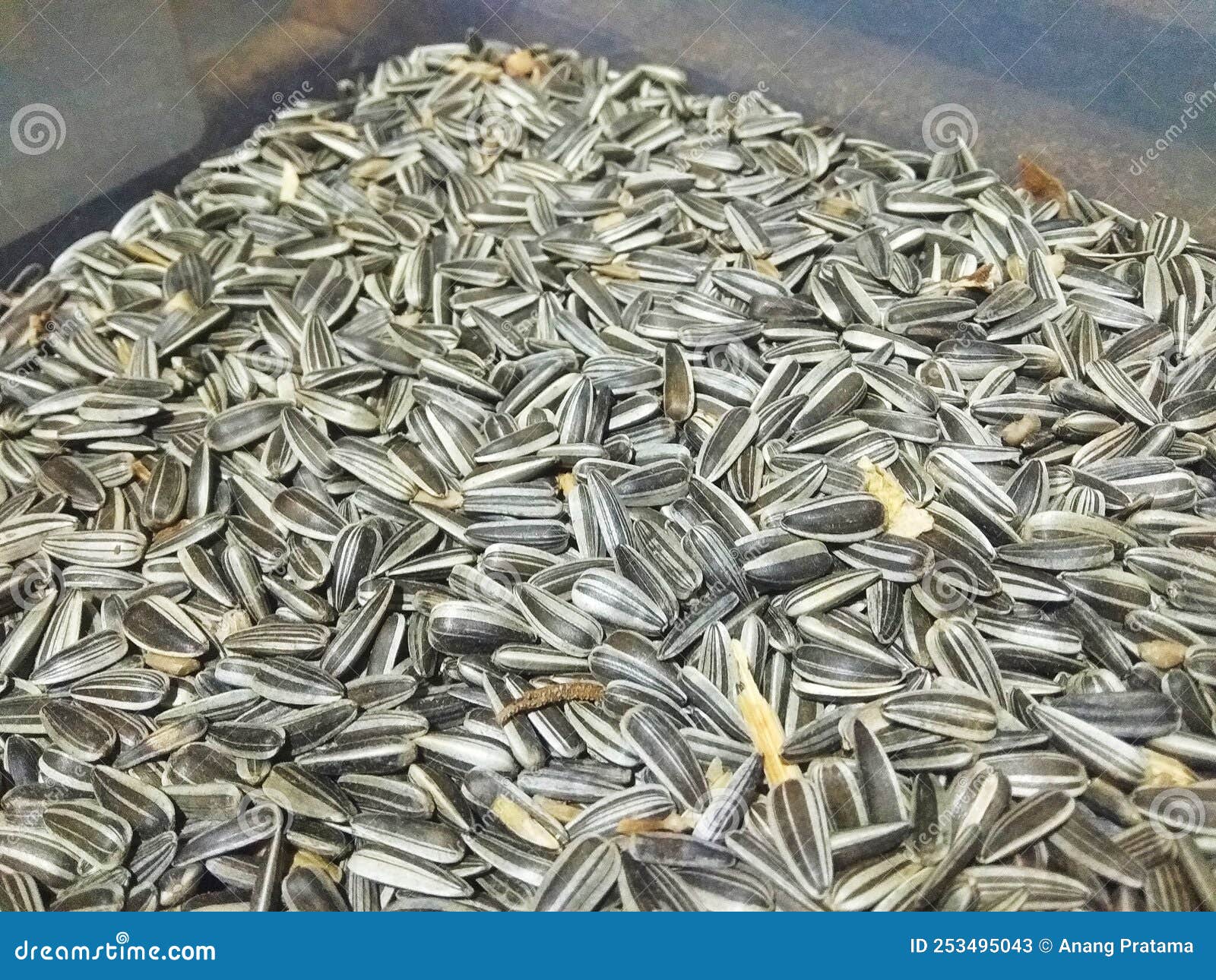 Kwaci stock image. Image of plant, meal, cuisine, vegetable - 253495043