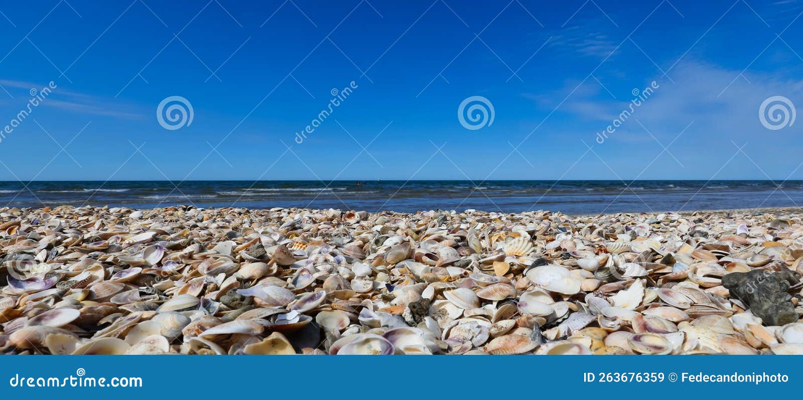 Thousands Of Shells Washed Ashore Forming A Unique Beach Stock Photo ...