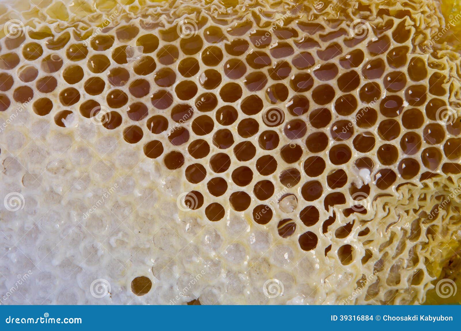 Huney stock photo. Image of wild, food, symmetry, eatable - 39316884