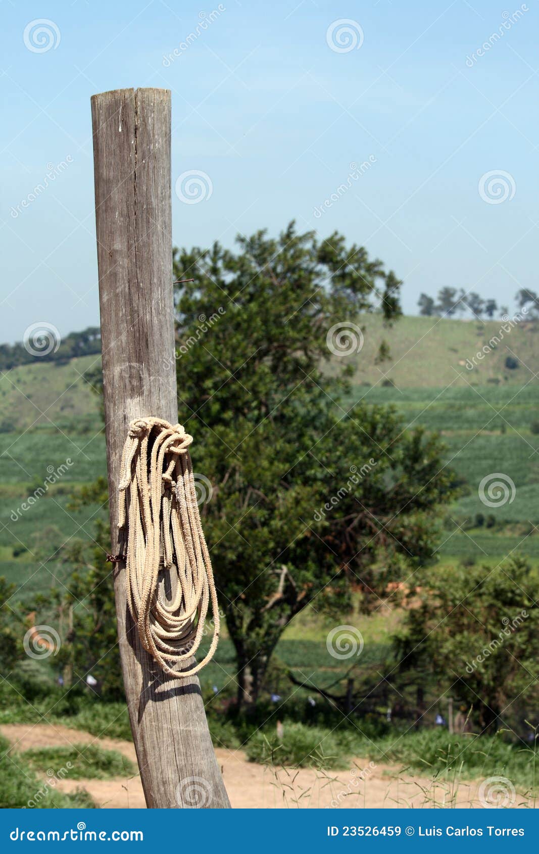 Hung rope stock image. Image of detail, twist, cords - 23526459