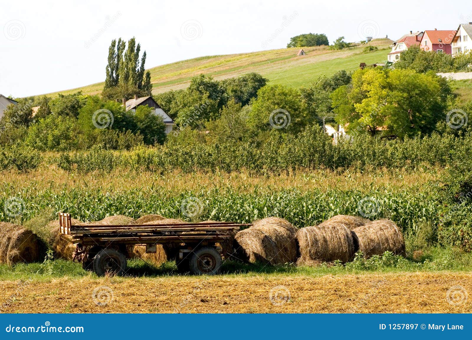 Hungarian Countryside stock image. Image of farming, countryside - 1257897