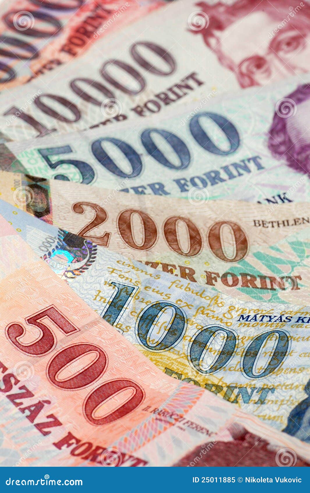 Hungarian forint stock image. Image of hungarian, forint - 25011885