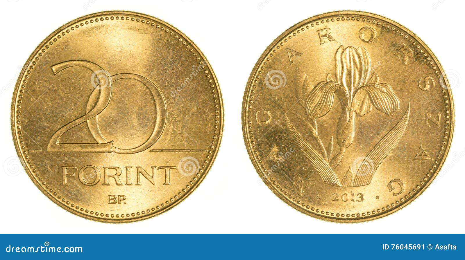 20 Hungarian forint coin stock image. Image of financial - 76045691