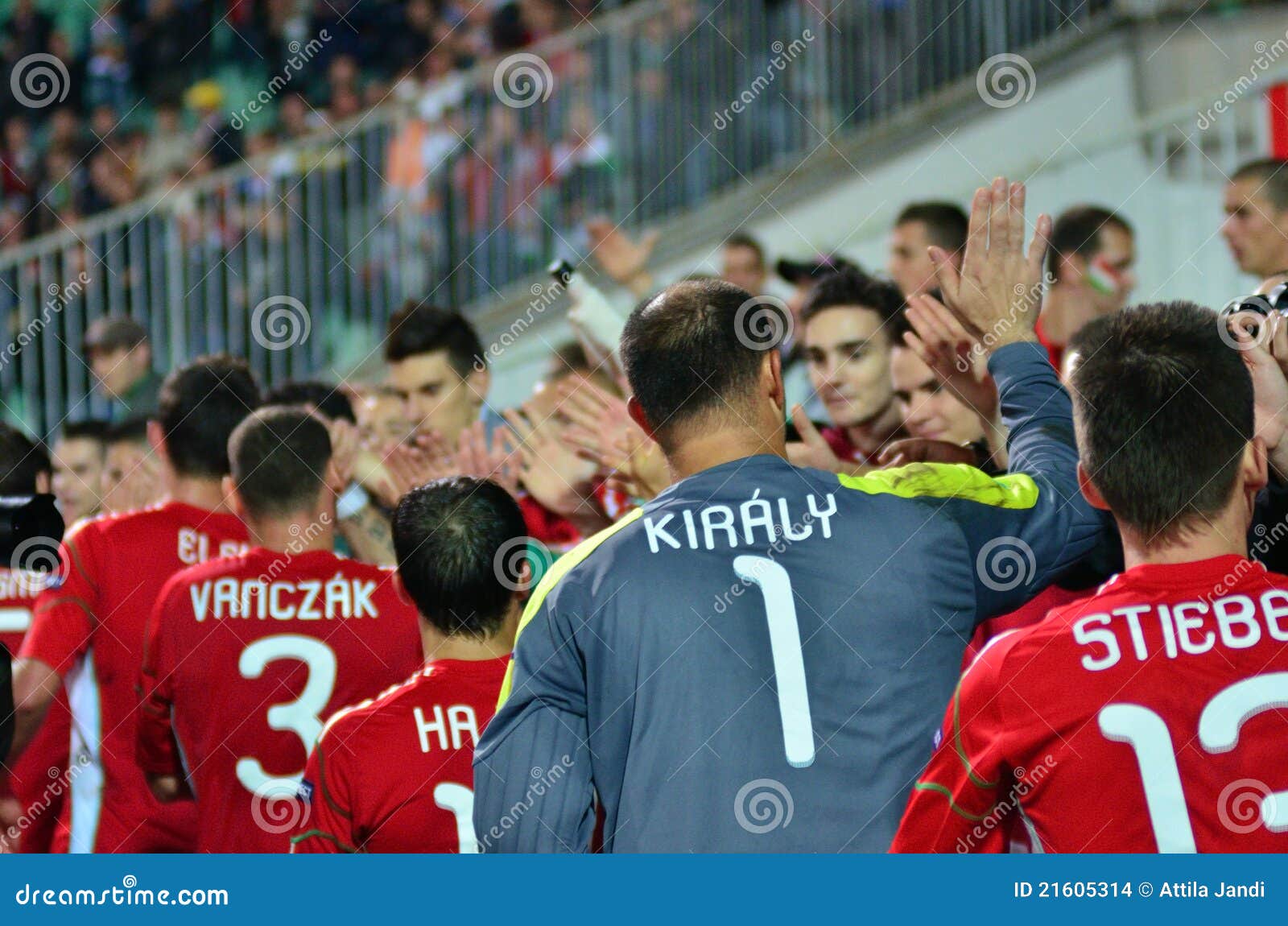 Hungarian national team editorial stock image. Image of match - 21605314