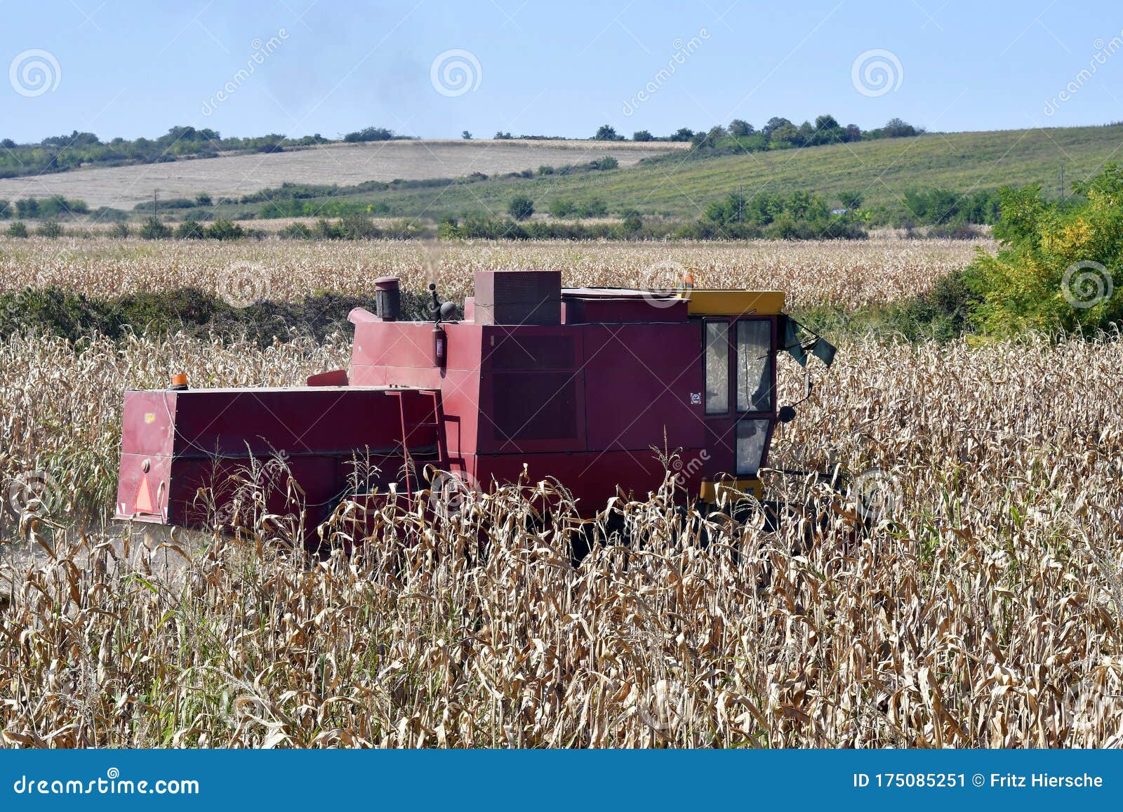 Hungary, Agriculture, Harvest Stock Image - Image of horizontal, corn ...