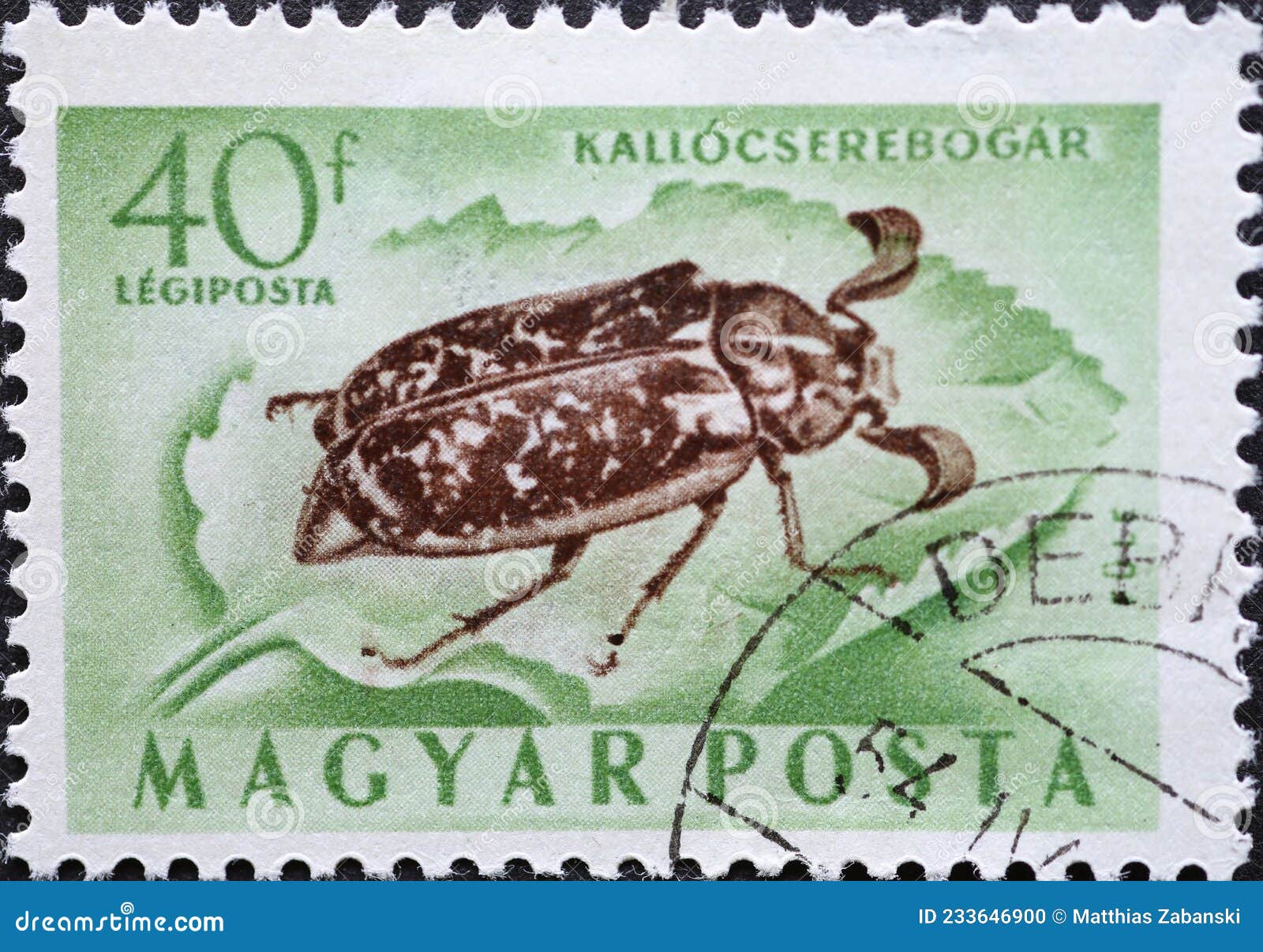 Hungary Circa 1954: a Post Stamp Printed in Hungary Showing the Insect ...