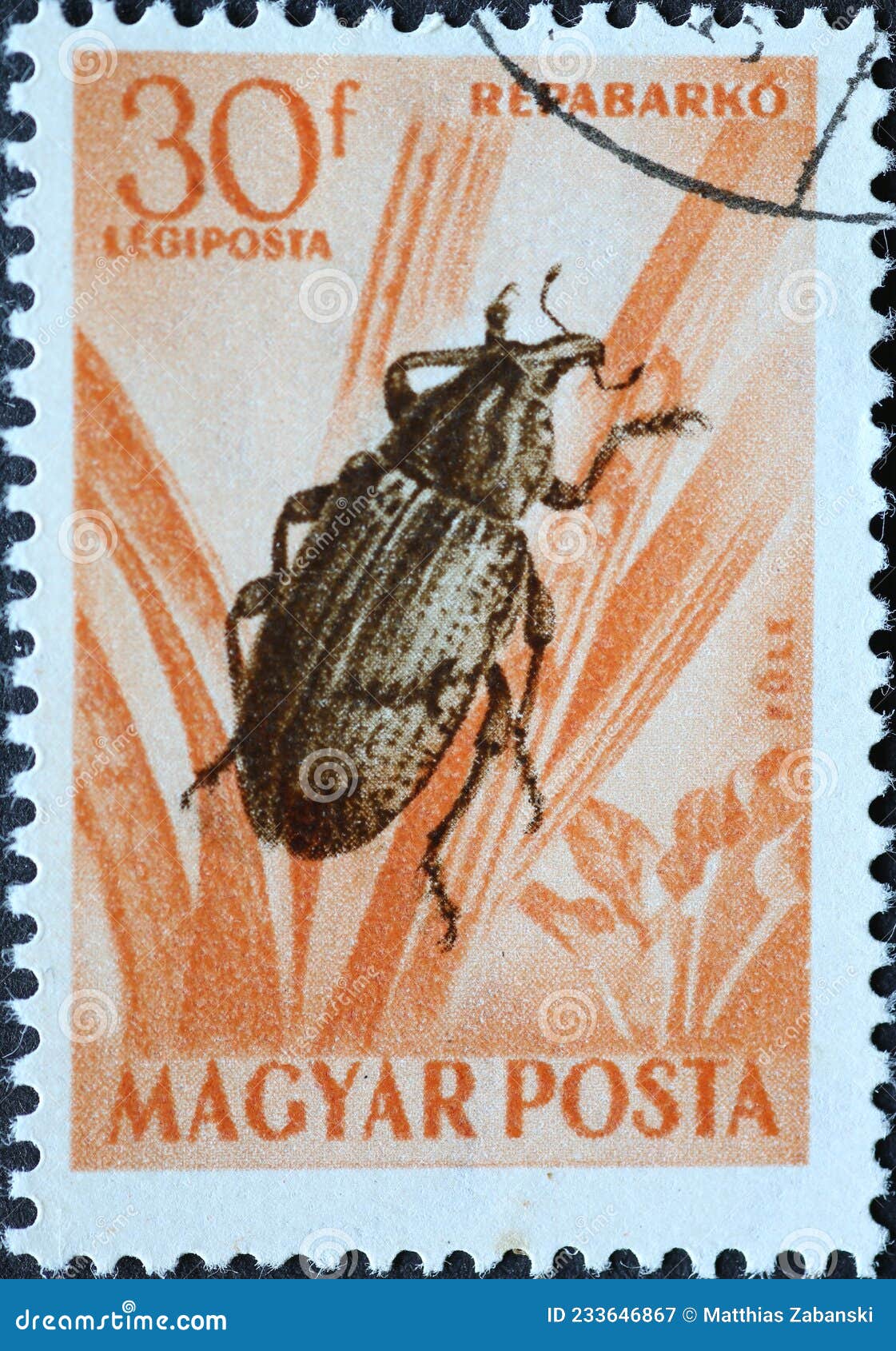 Hungary Circa 1954: a Post Stamp Printed in Hungary Showing the Insect ...