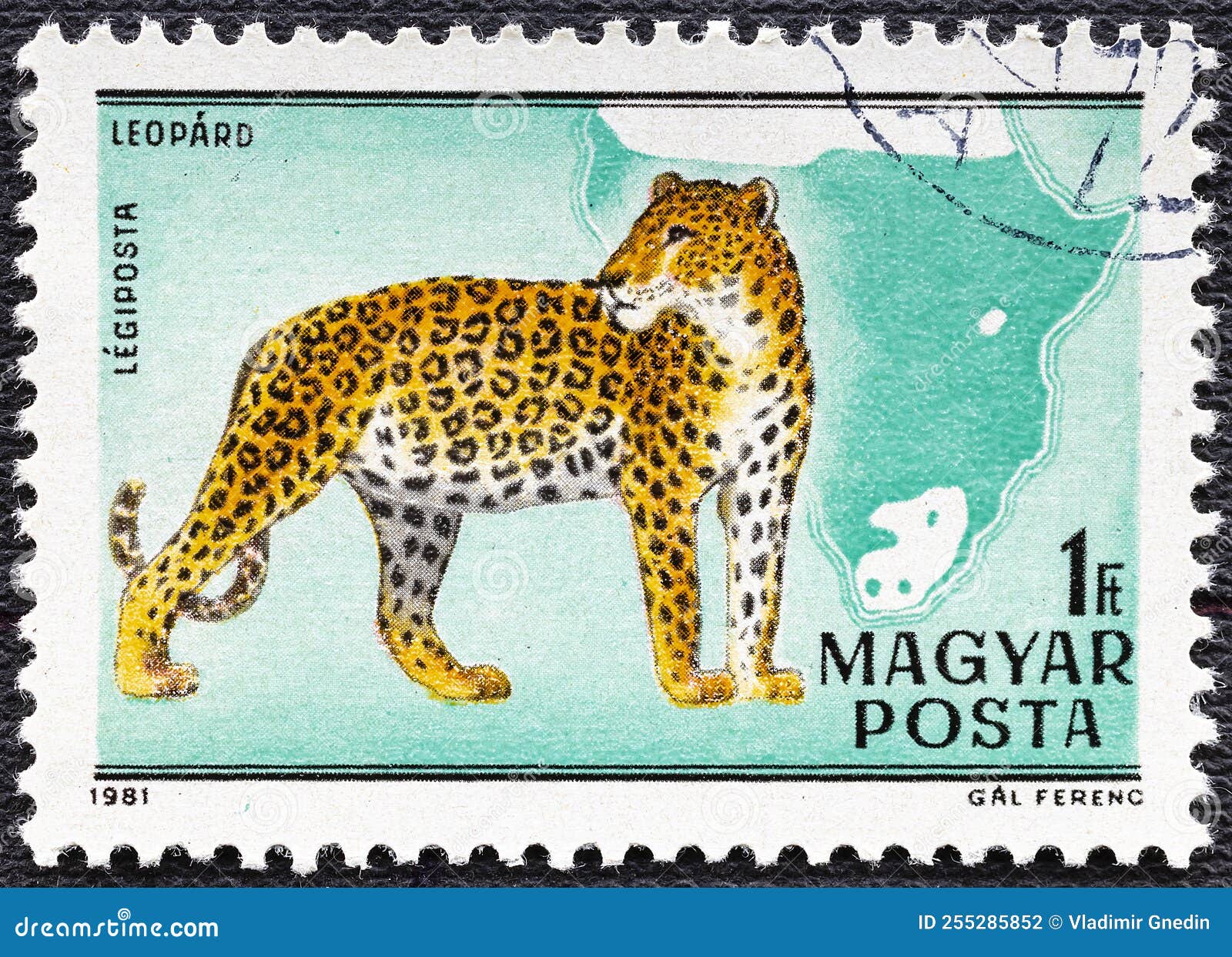 HUNGARY - CIRCA 1981: the Postal Stamp Printed in HUNGARY Shows Leopard ...
