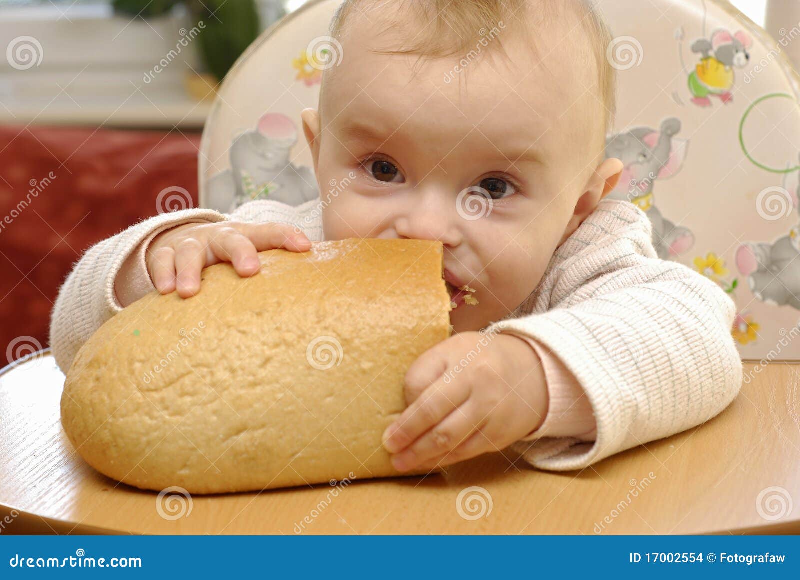 Hungry baby stock photo. Image of bite, loaf, eyes, portrait - 17002554