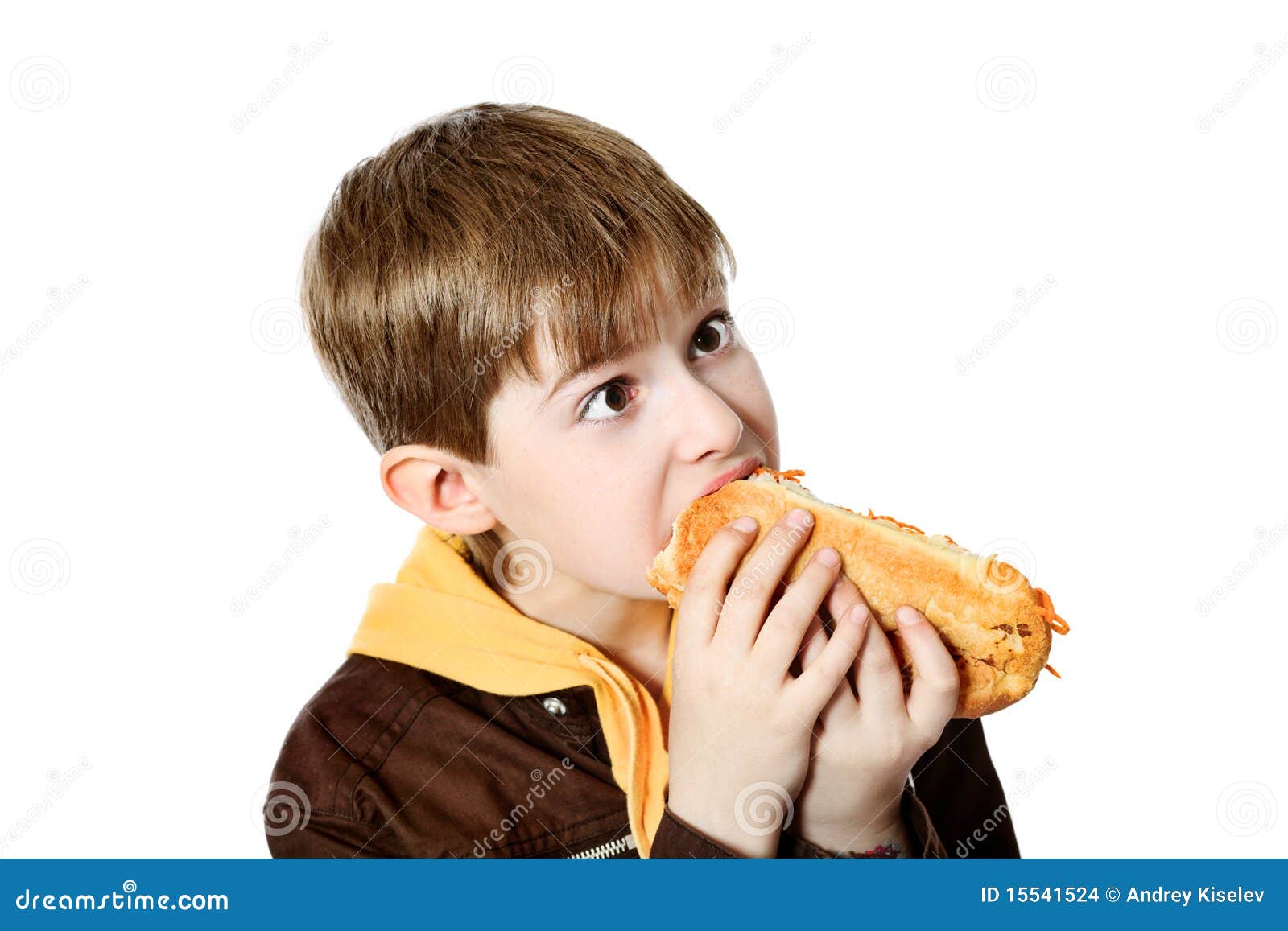 Hungry boy stock photo. Image of dogs, meal, american - 15541524