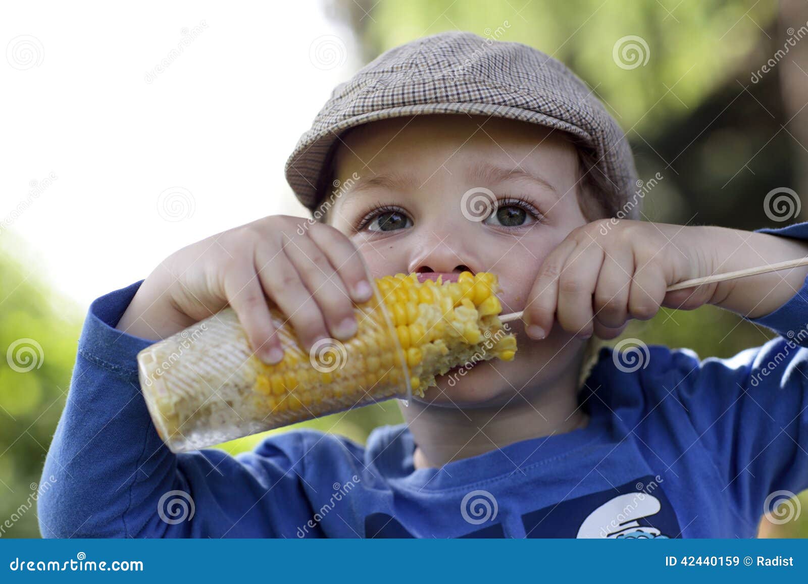 Hungry kid eating corn stock image. Image of hand, corn - 42440159