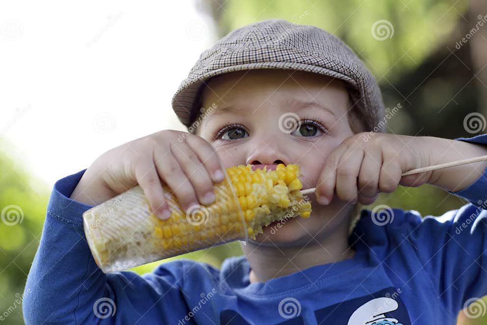 Hungry kid eating corn stock image. Image of hand, corn - 42440159